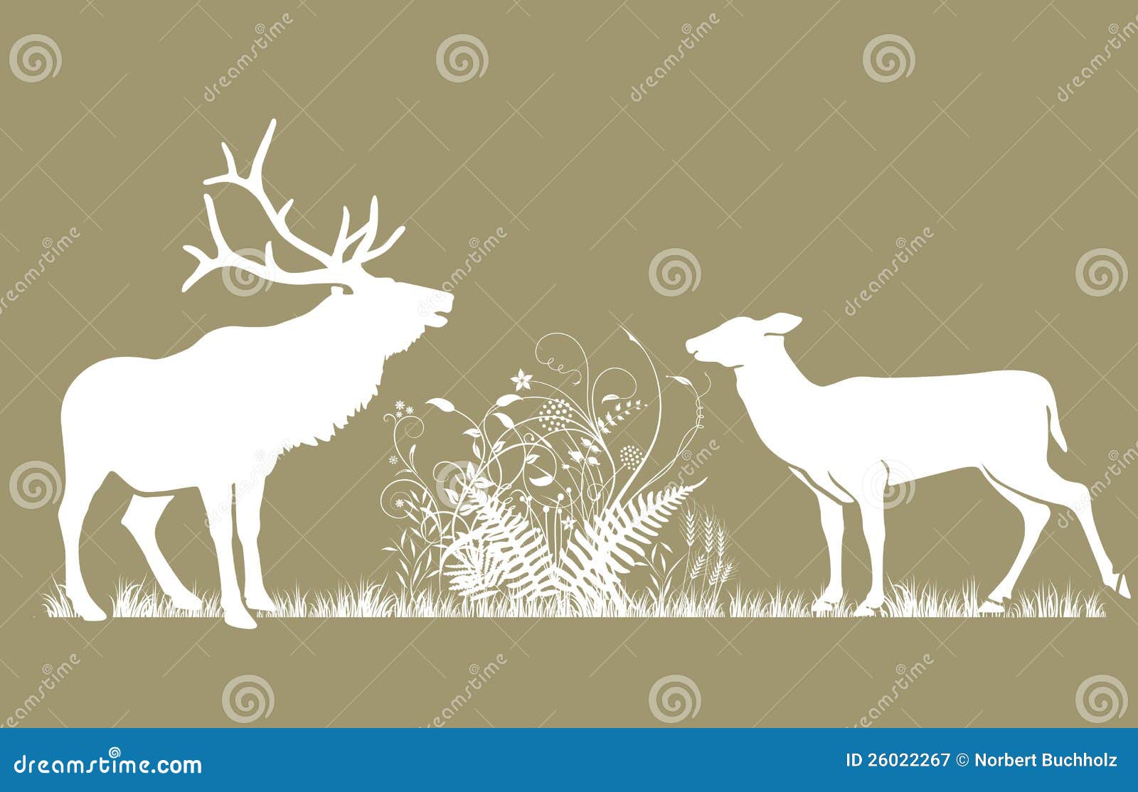 Deer and doe stock vector. Illustration of flora, animals - 26022267