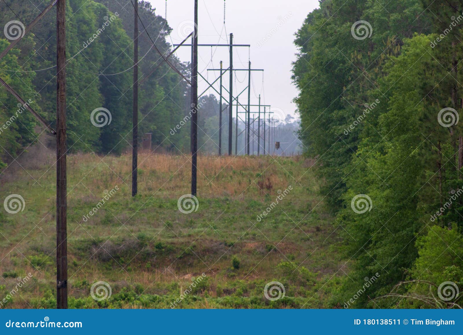 Deer Feeder in Distance Down High Voltage Lines Stock Image - Image of ...