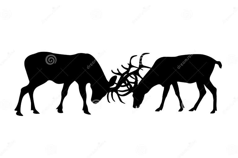 Deer fighting stock illustration. Illustration of december - 20053872
