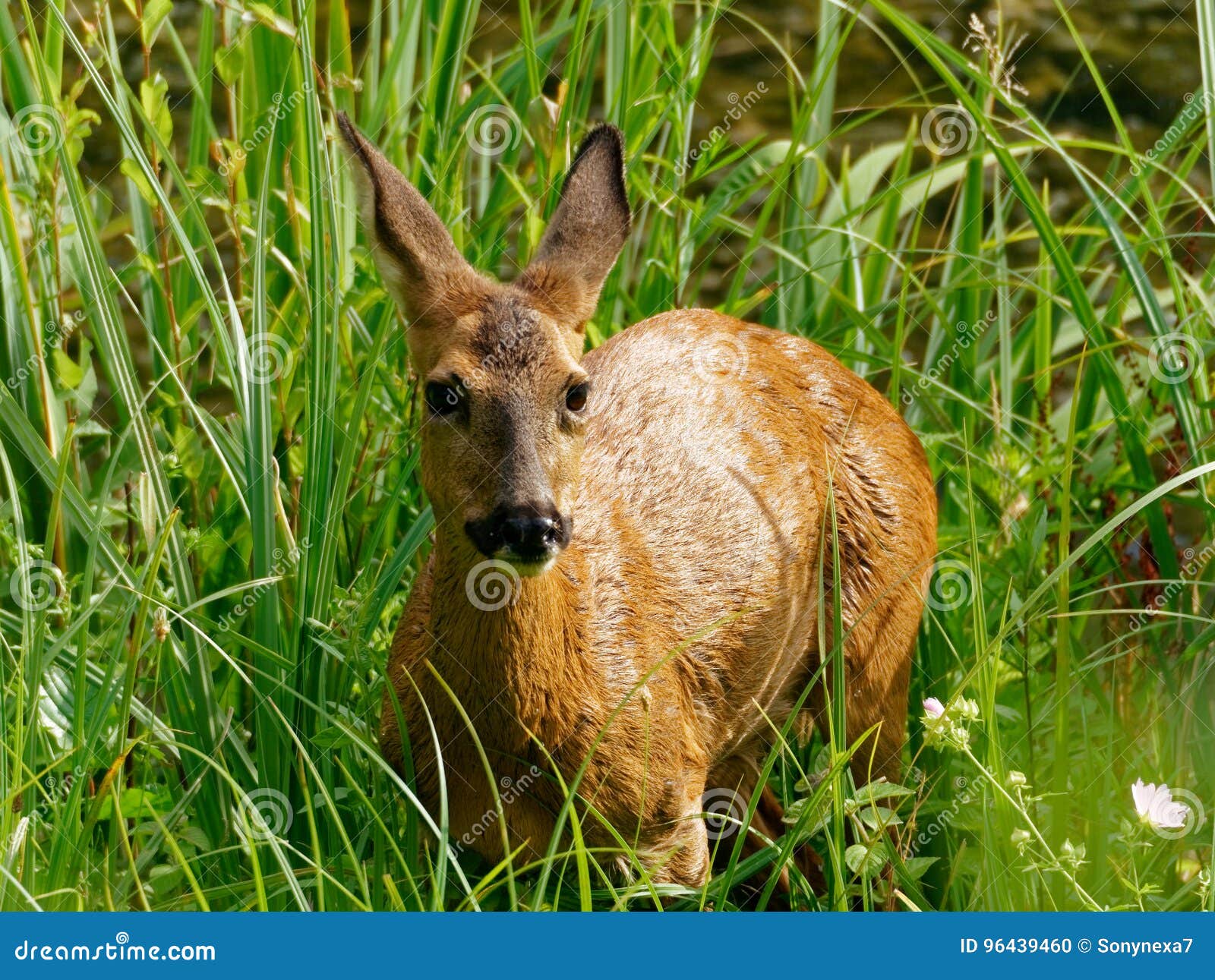 Bhkjj Bfhhj Bfhhk Bhhkk Hhhhj Ffhjj Ffhgj Hfhjj Ffhgj Ffhjj Ffhgj Ffhgg ...