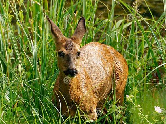 Bhkjj Bfhhj Bfhhk Bhhkk Hhhhj Ffhjj Ffhgj Hfhjj Ffhgj Ffhjj Ffhgj Ffhgg ...