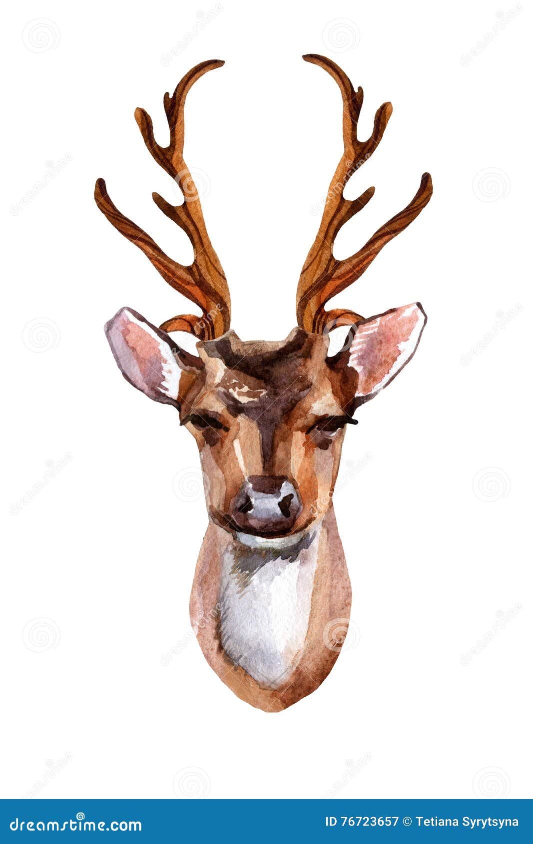 Deer - Front View stock illustration. Illustration of grunge - 76723657