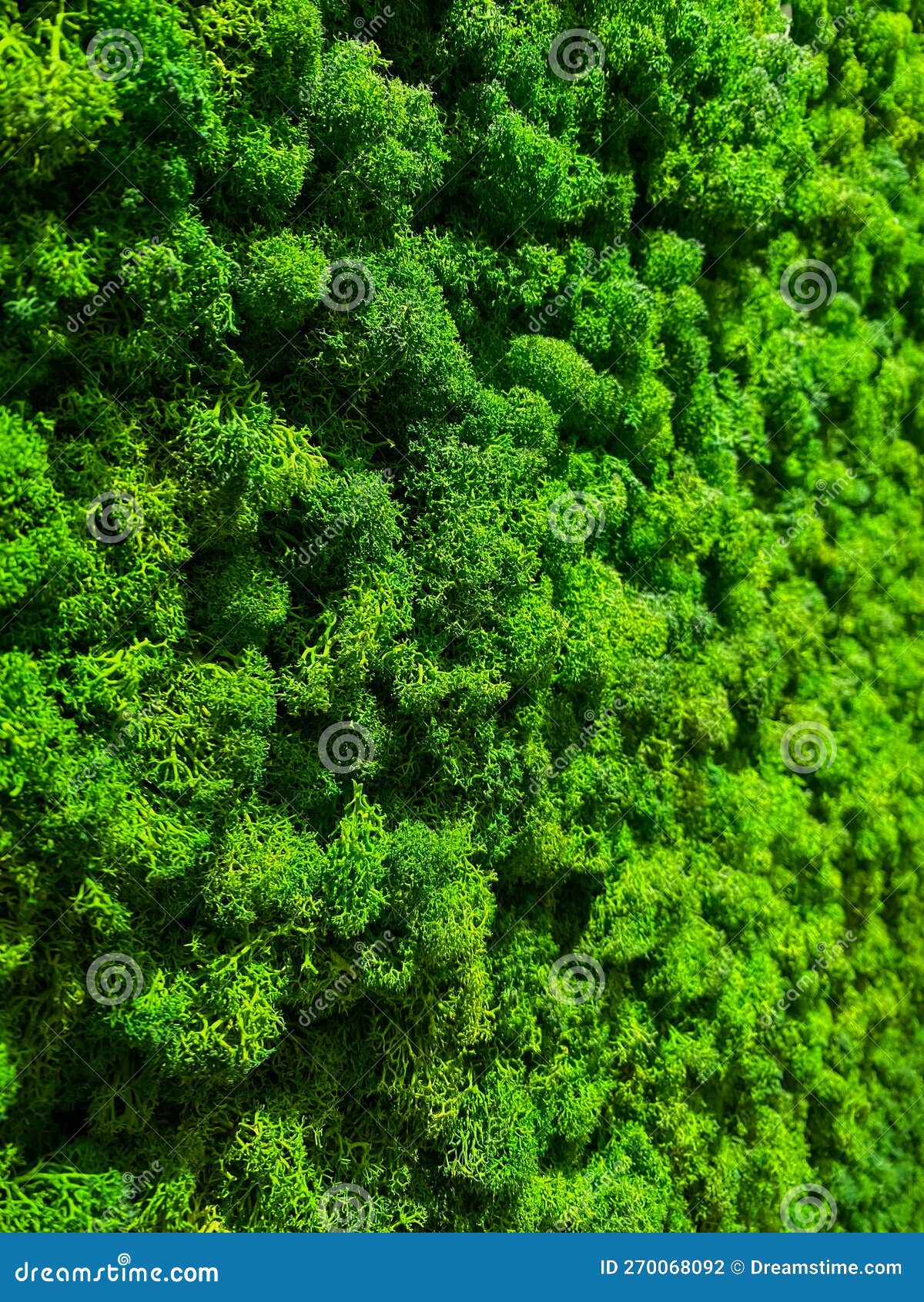 The Deer Fur Wall is a Great Decoration Stock Photo - Image of abstract ...