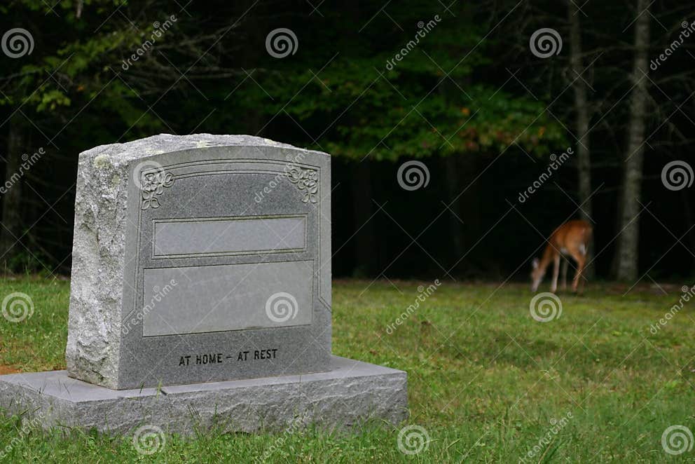 A deer at the grave stock image. Image of deer, marker - 422509
