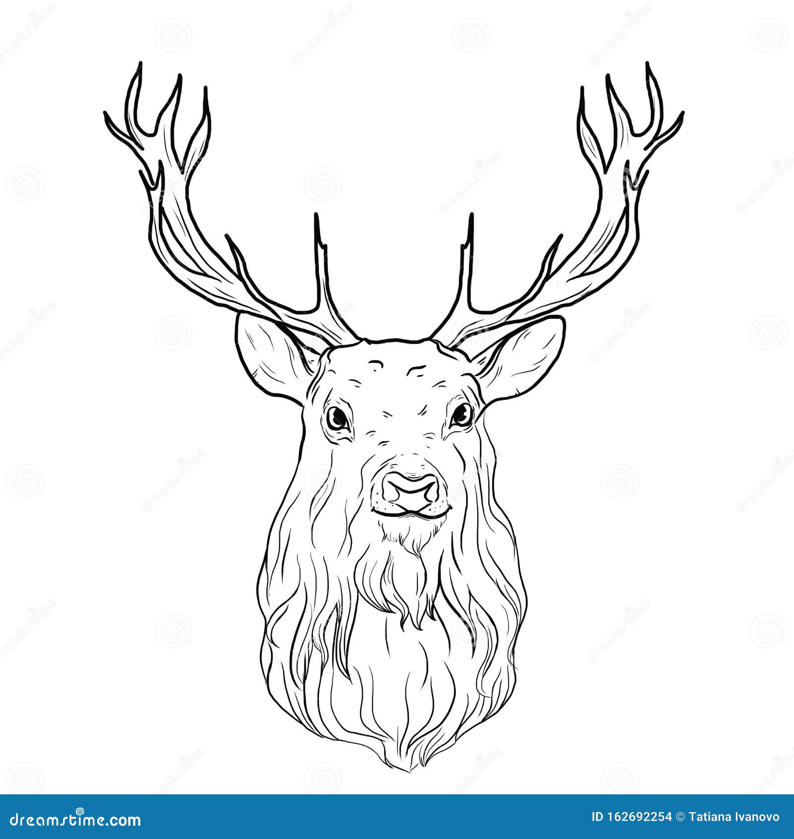 Deer - Hand Draw , Isolated on Background Stock Illustration ...