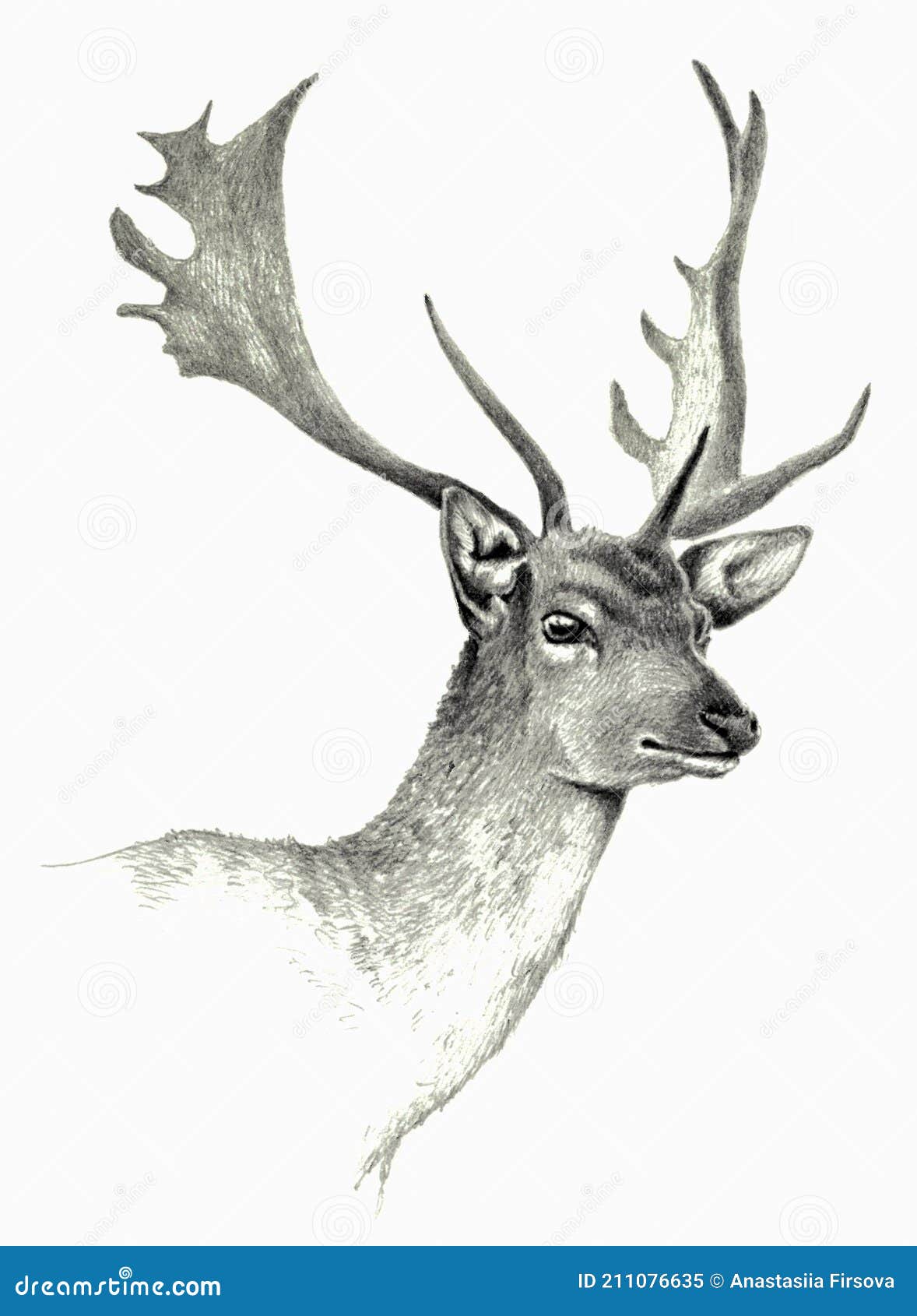 Deer Hand Drawing. Pencil Image Stock Illustration - Illustration of ...