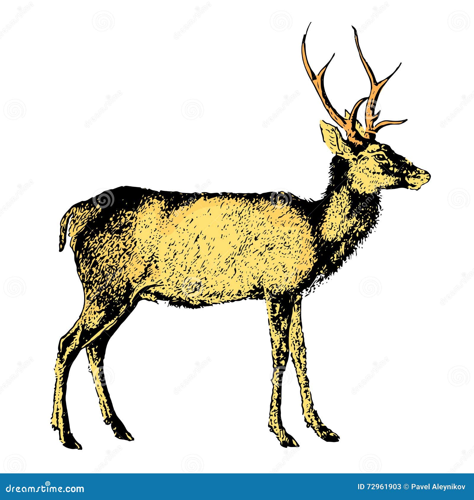 Deer Hand Drawn Vector Image Stock Vector - Illustration of sketch ...