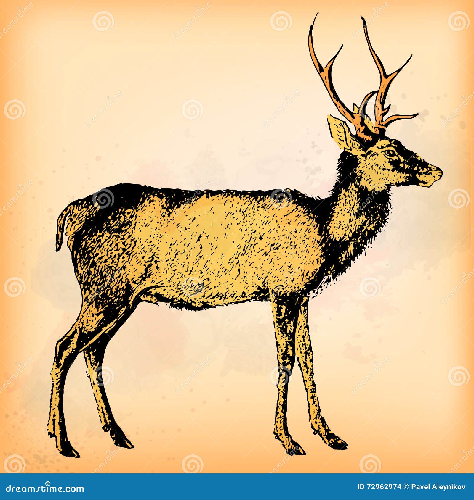 Deer Hand Drawn Vector Image Stock Vector - Illustration of cartoon ...