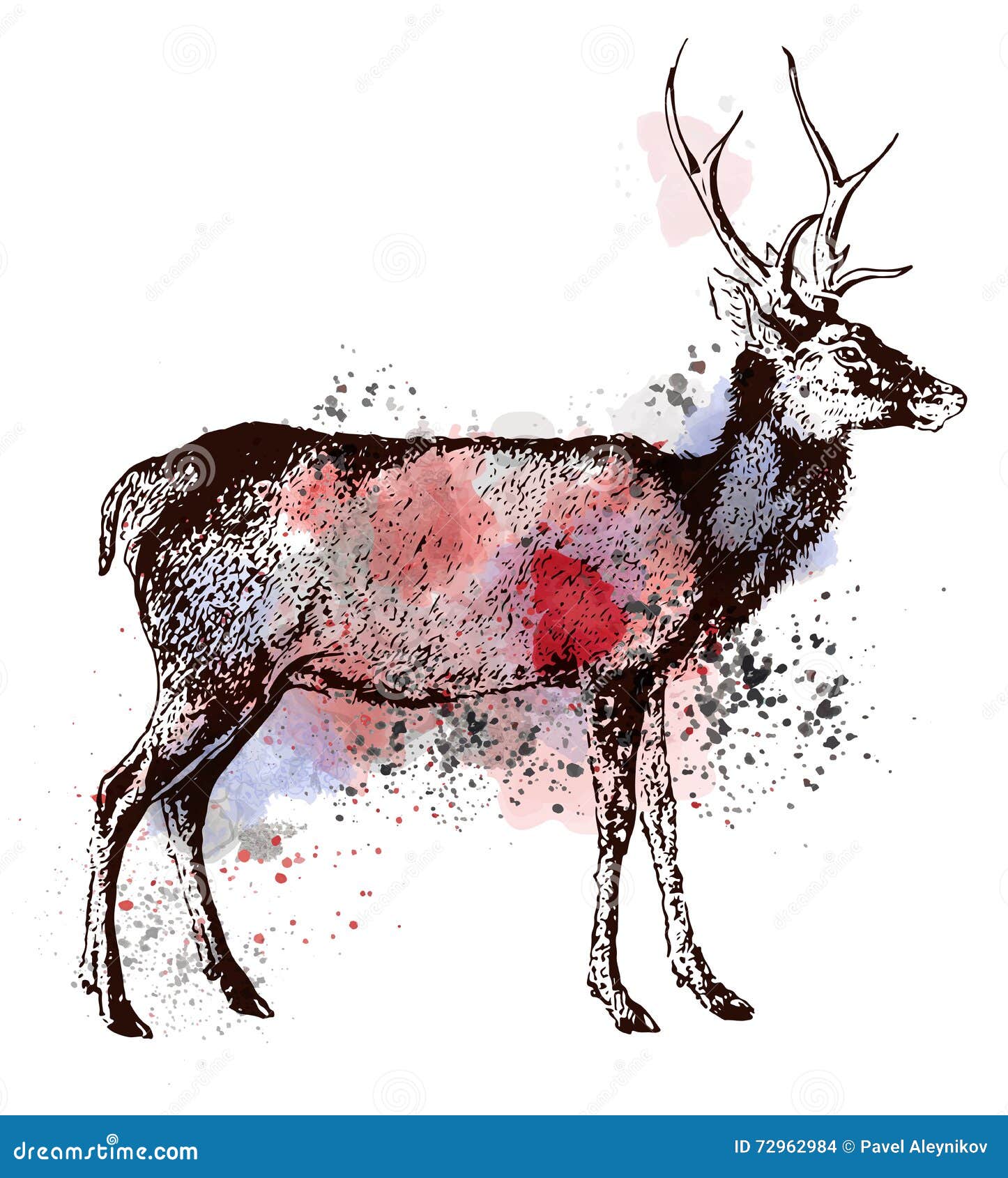 Deer Hand Drawn Vector Image Stock Vector - Illustration of animal ...