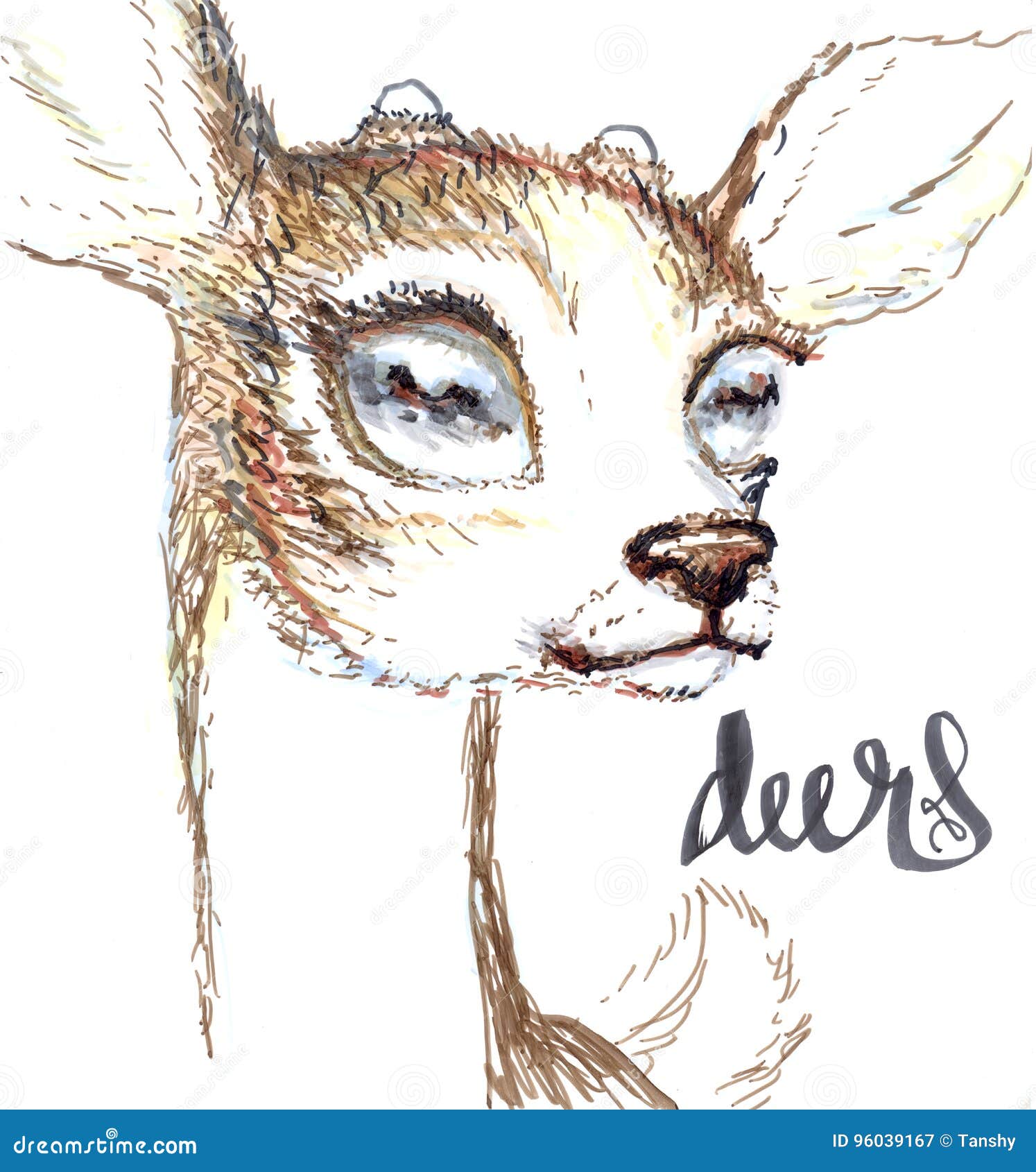 Deer. Head Avatar Figure Paints Stock Illustration - Illustration of ...