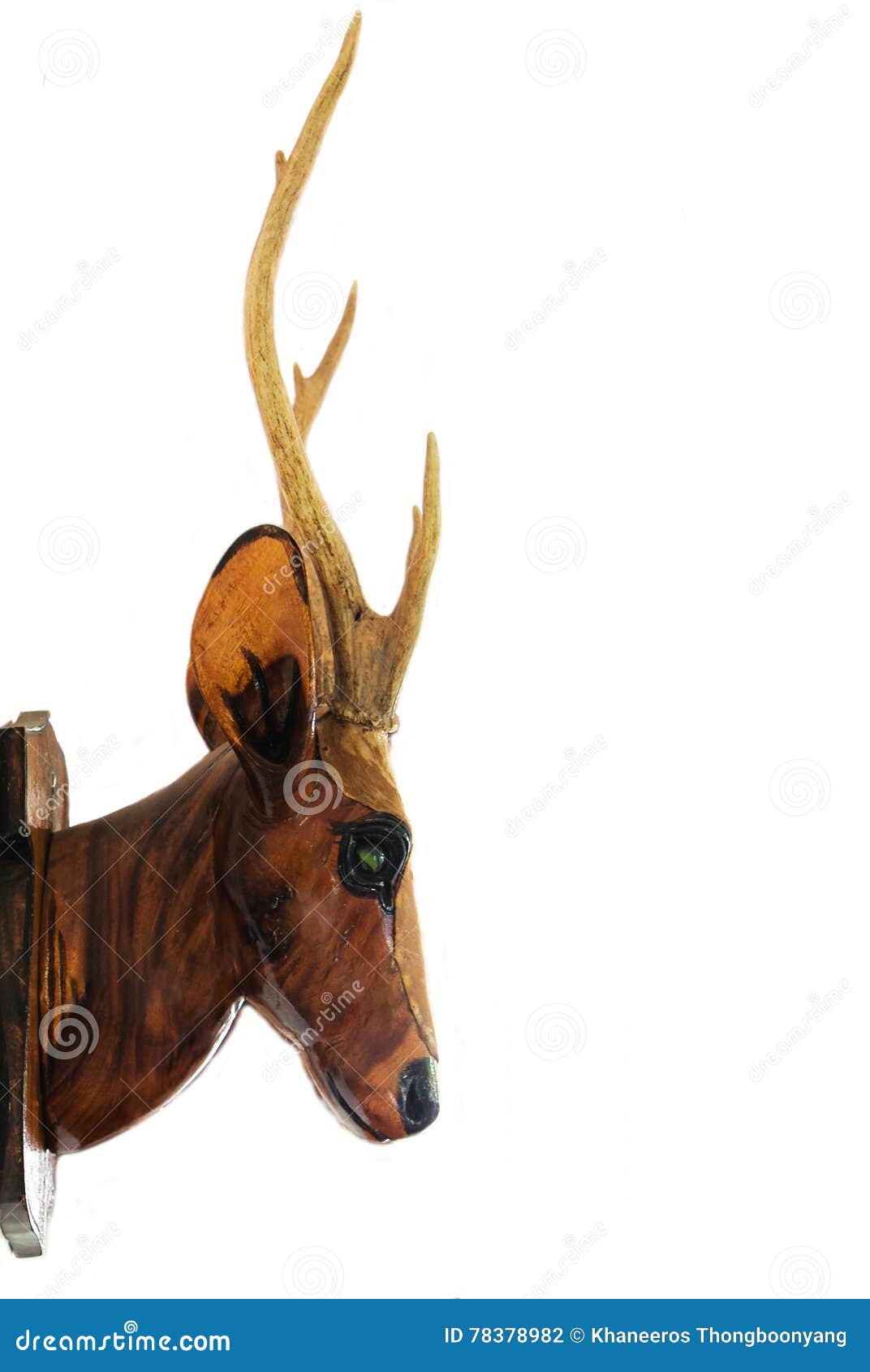 Deer head stock photo. Image of season, cervidae, herbivore - 78378982
