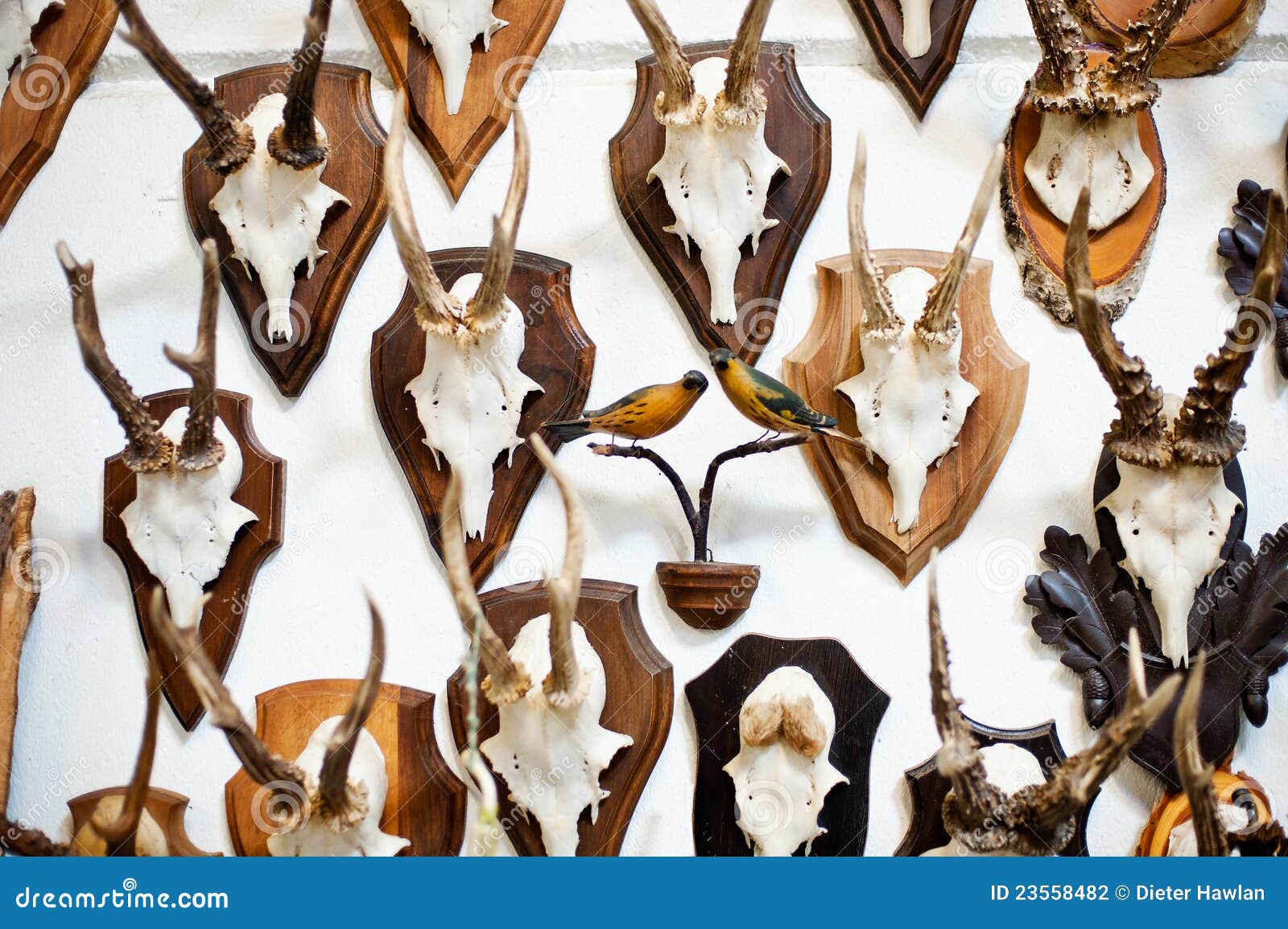 Deer Head Trophy With A Wooden Cross On A Stable Royalty-Free Stock ...