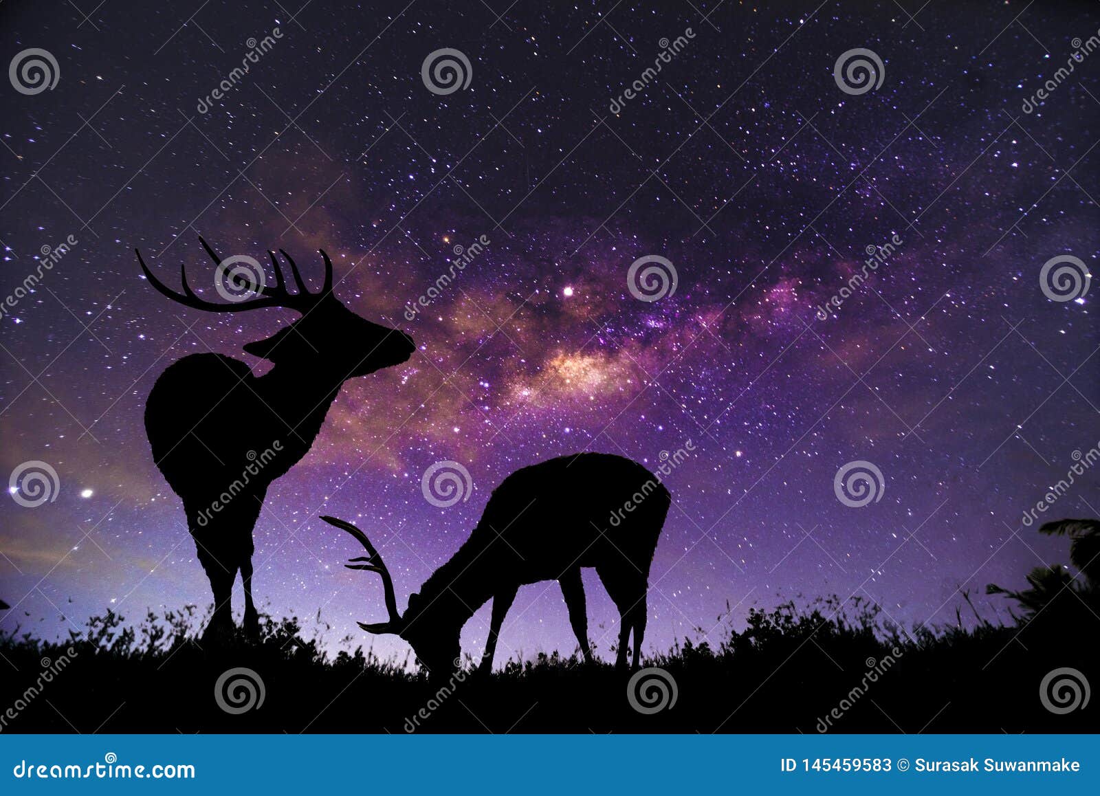 The Deer Image Stands in the Milky Way Constellation Stock Image ...