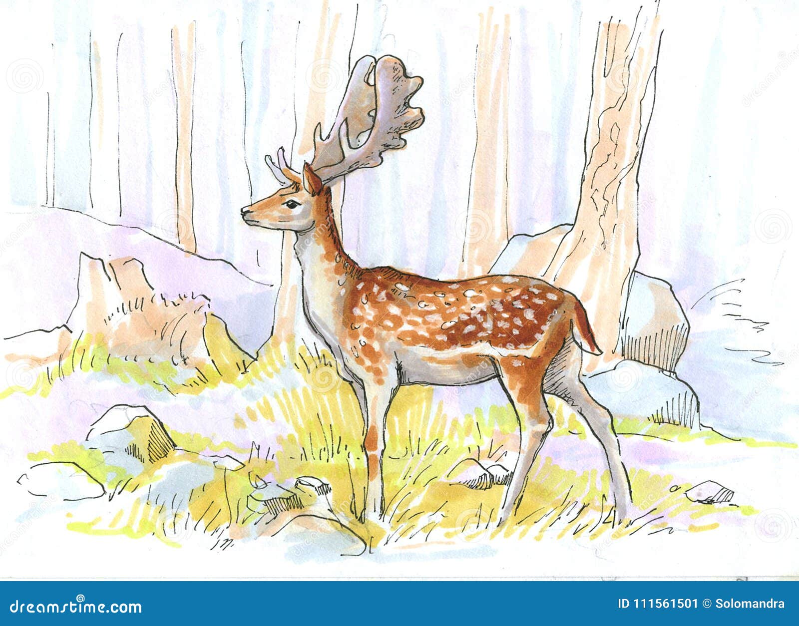 A deer in a light forest stock illustration. Illustration of artwork ...