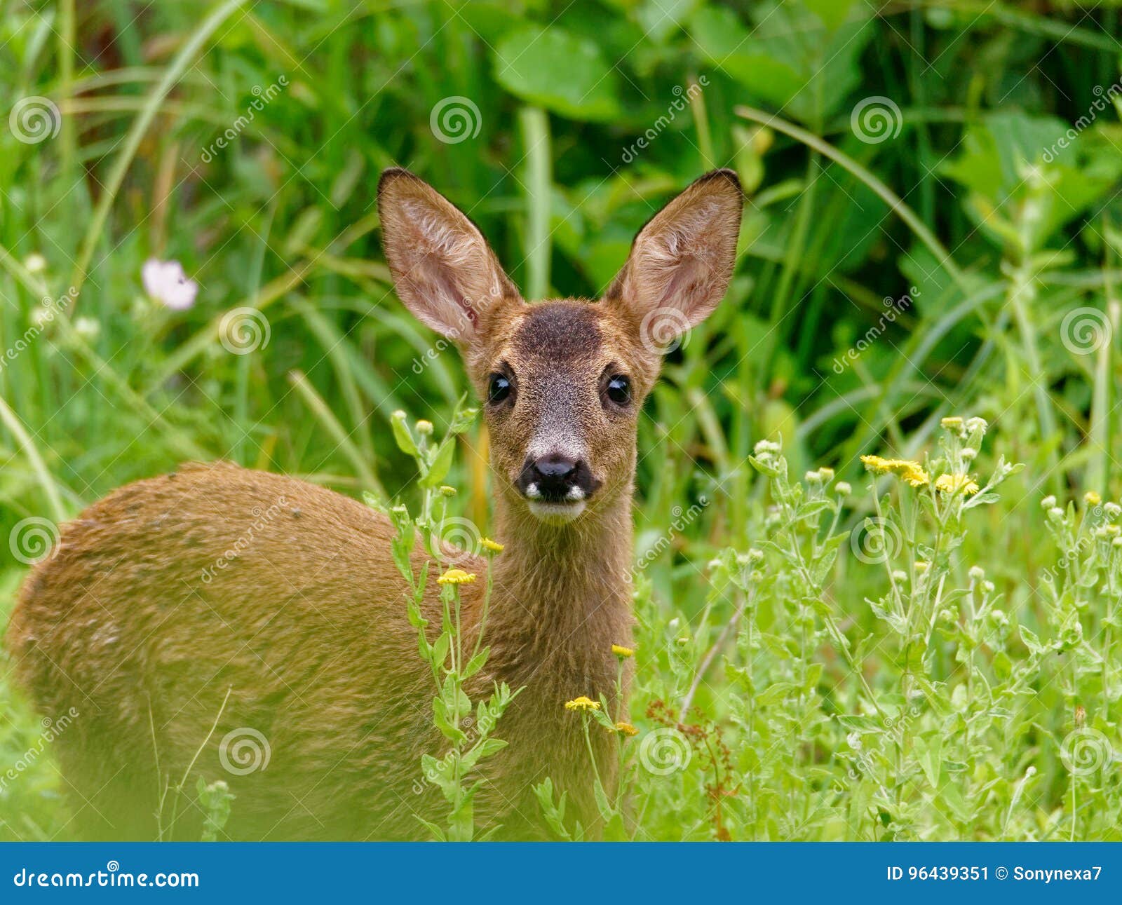 Bhkjj Bfhhj Bfhhk Bhhkk Hhhhj Ffhjj Ffhgj Hfhjj Ffhgj Ffhjj Ffhgj Ffhgg ...