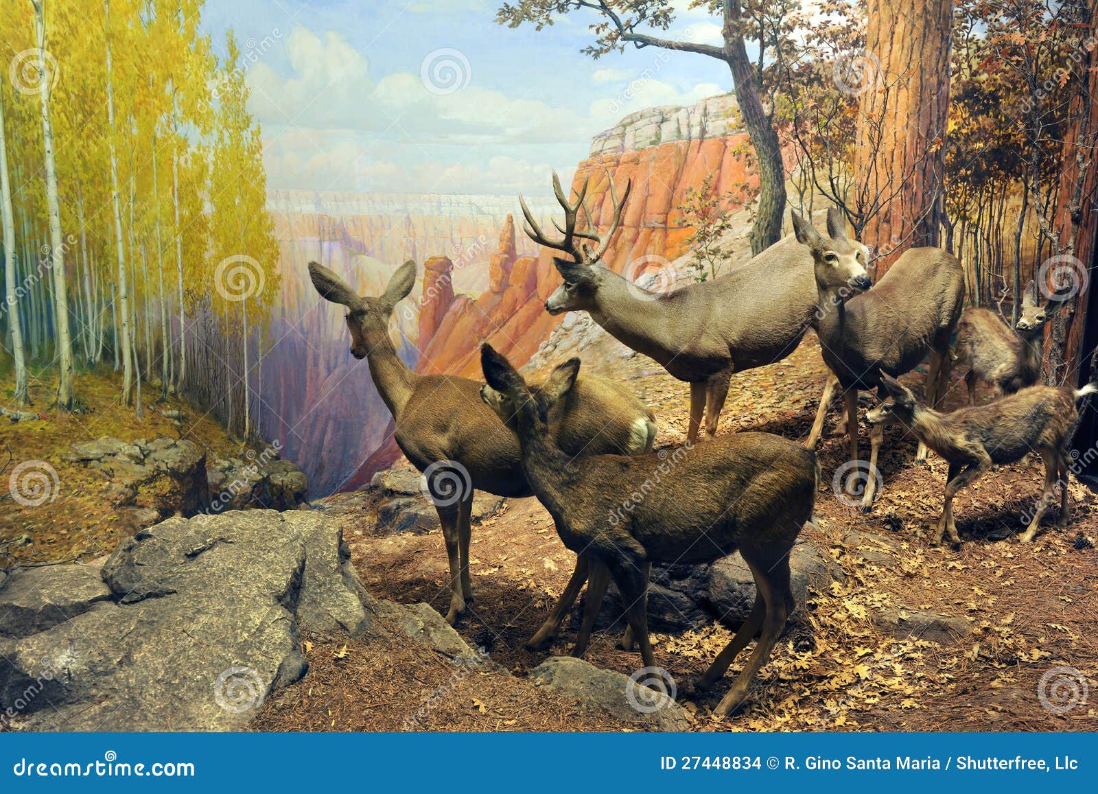 Deer on Mountain editorial stock image. Image of landscape - 27448834