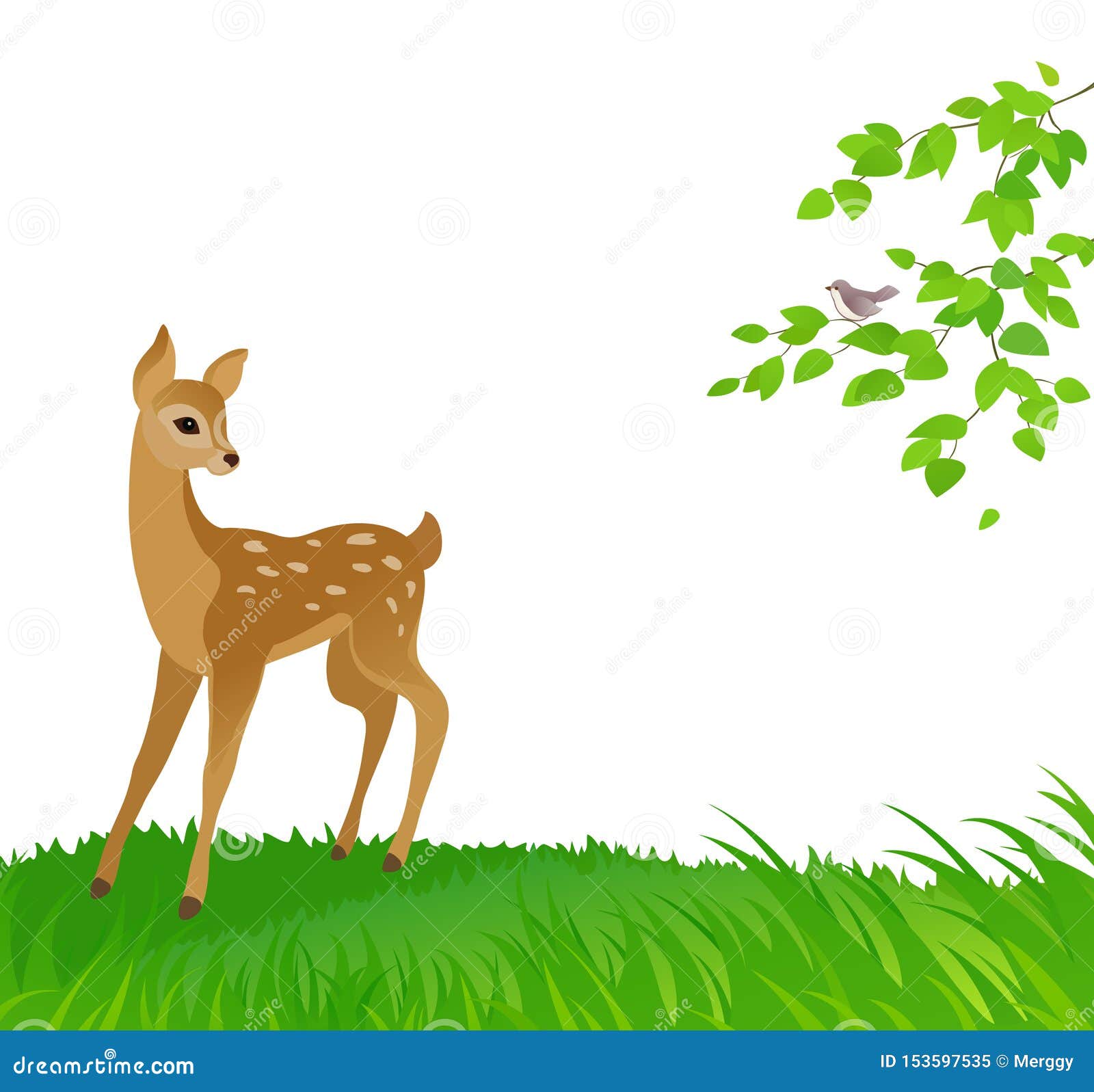 Roe Deer Doe Fawn Grass Stock Illustrations – 21 Roe Deer Doe Fawn ...