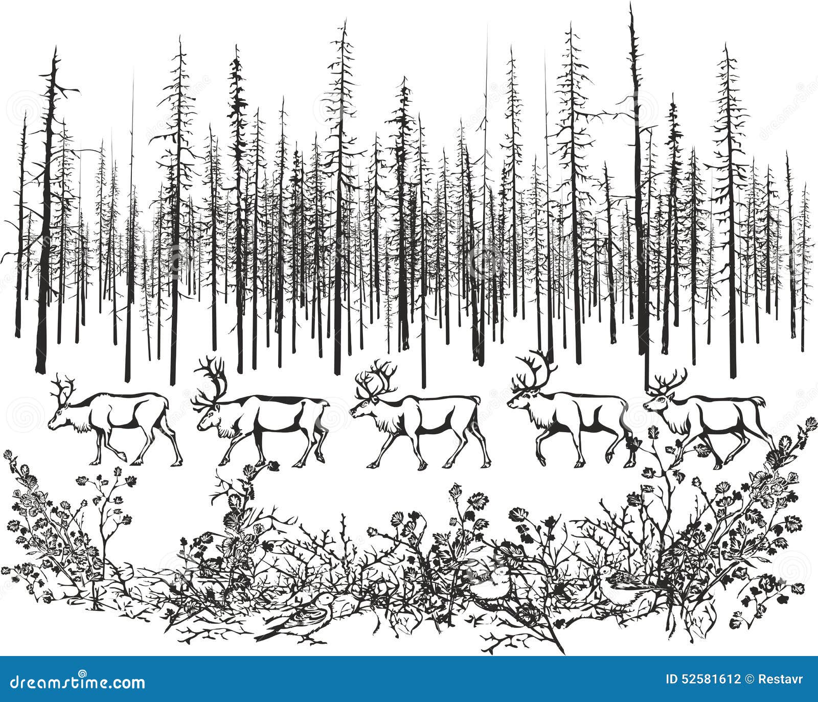 Deer in the Northern Taiga. Stock Vector - Illustration of nature, herd ...