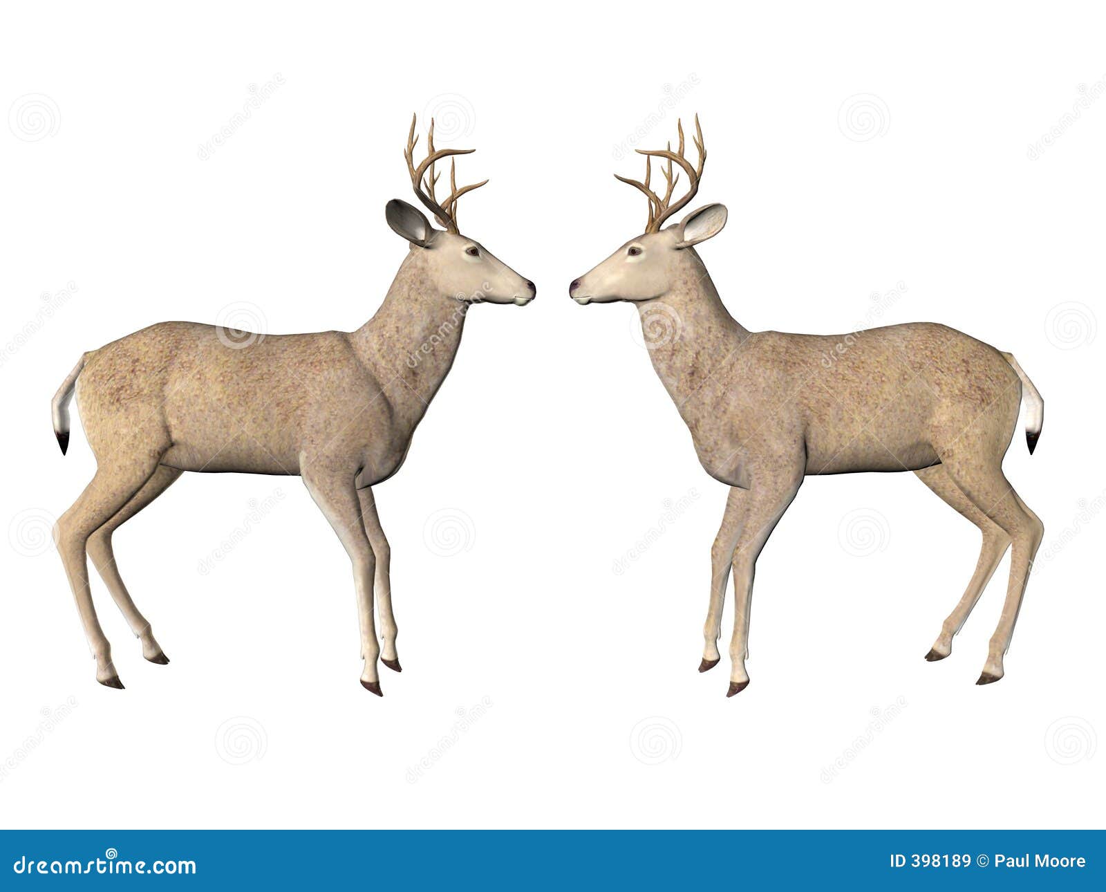 Deer Pair stock illustration. Illustration of forest, deer - 398189