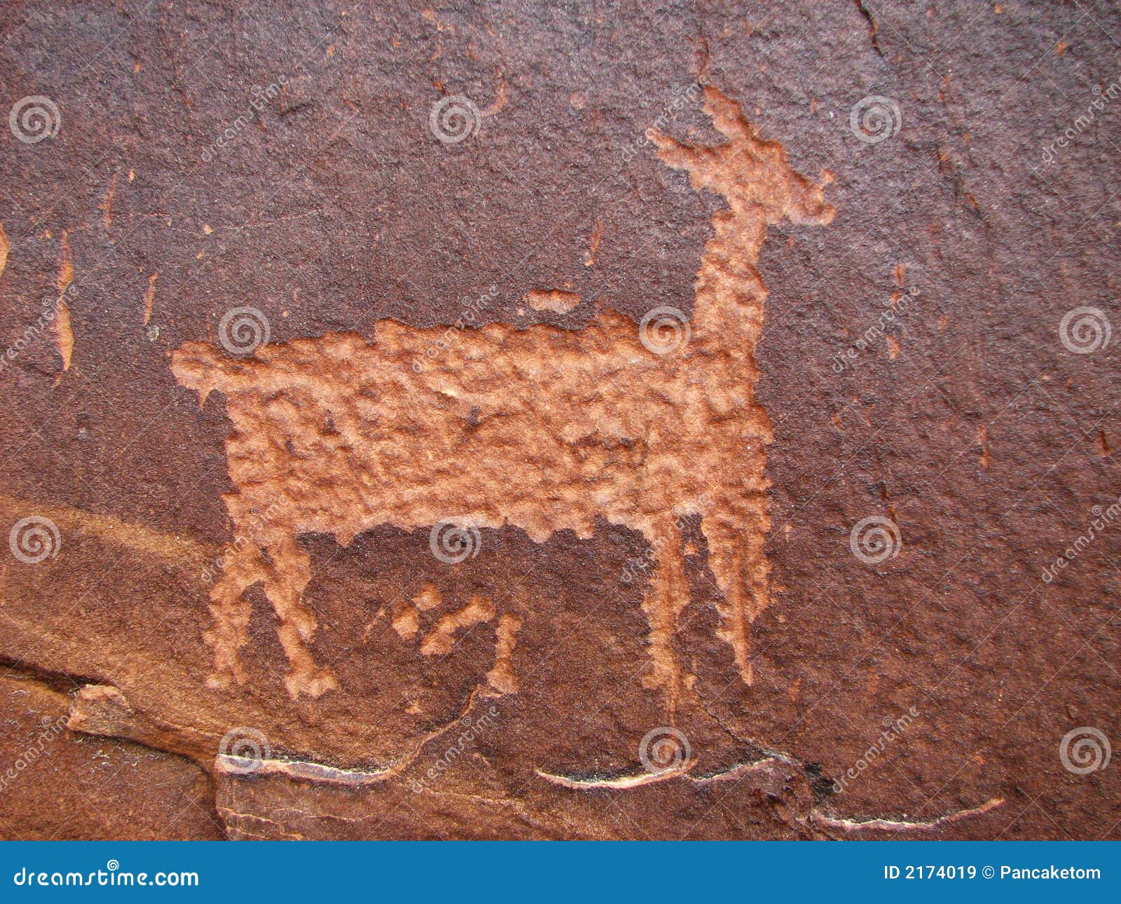 Deer petroglyph stock image. Image of primitive, animal - 2174019
