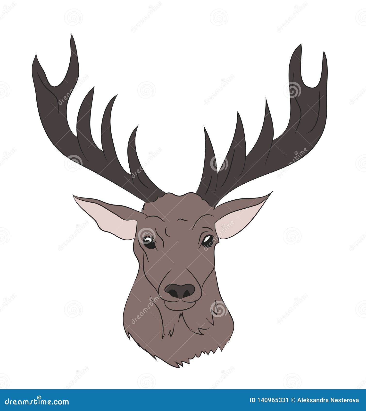 Deer Portrait, Color Drawing Vector Stock Vector - Illustration of hunt ...