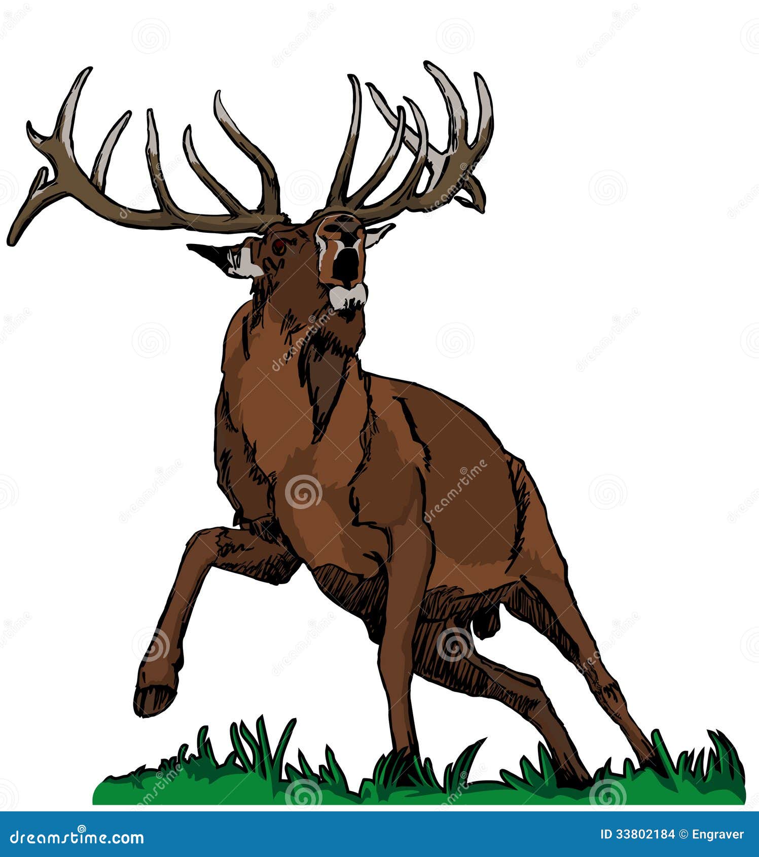 Deer red stock vector. Illustration of active, stag, fauna - 33802184