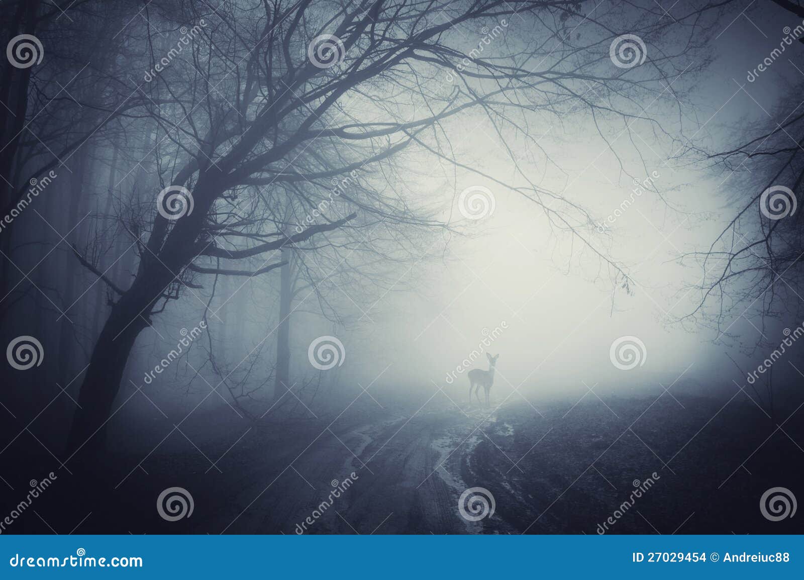 Dark Forest And Stunted Tree On Loch Mallachie In Scotland. Stock Photo ...