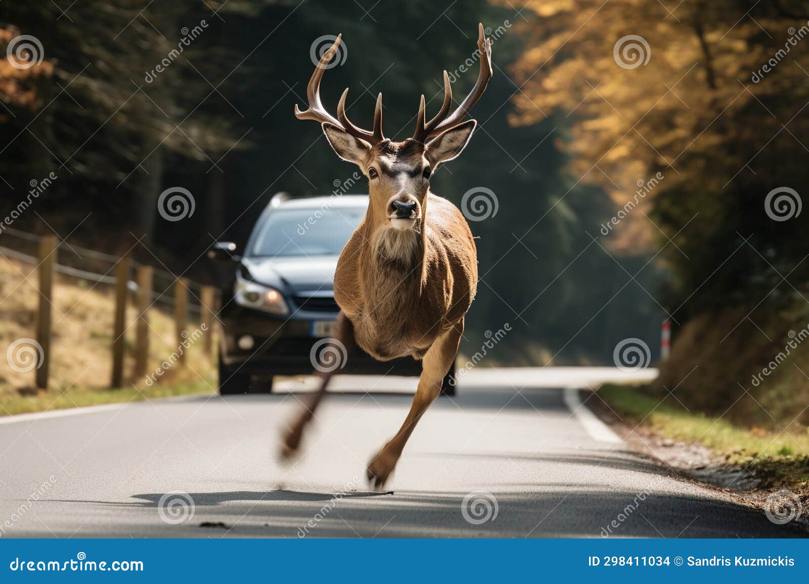 Deer Running in Front of Moving Car. Generative AI Stock Photo - Image ...