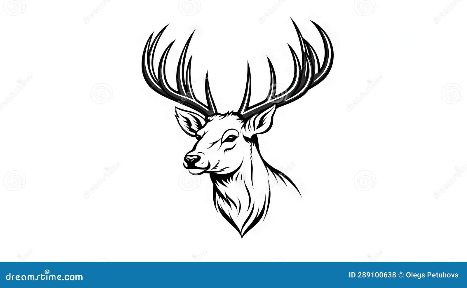 A Deer S Head with Large Antlers on a White Background Stock ...