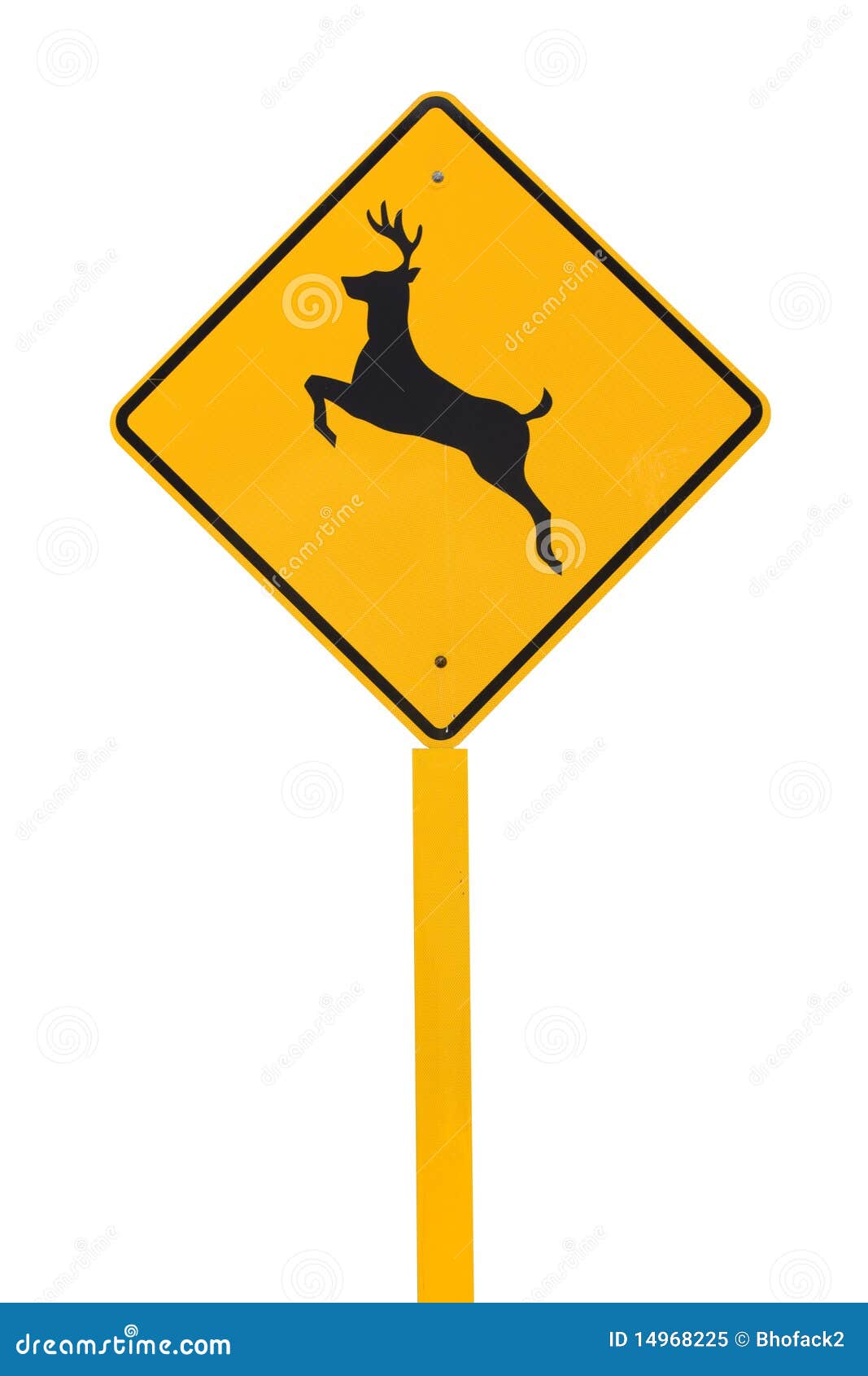 Deer Sign stock image. Image of deer, signage, road, cutout - 14968225