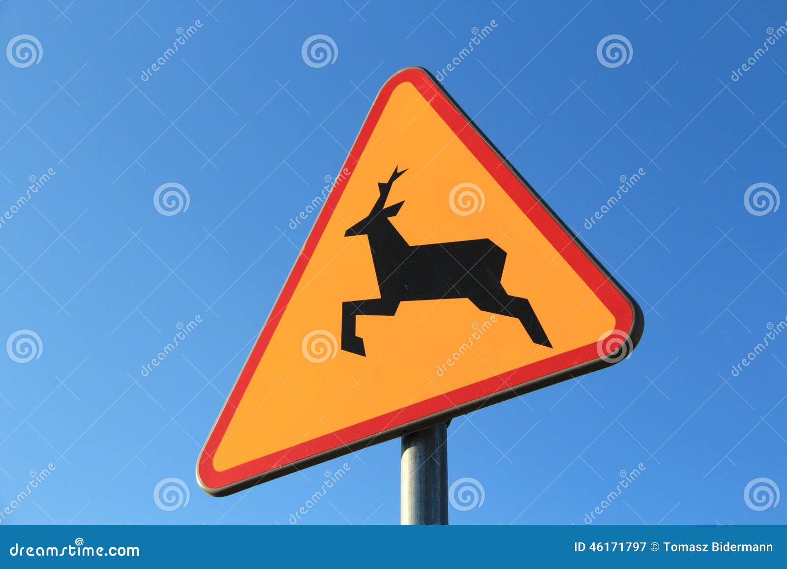 Deer sign stock image. Image of warning, crossing, highway - 46171797