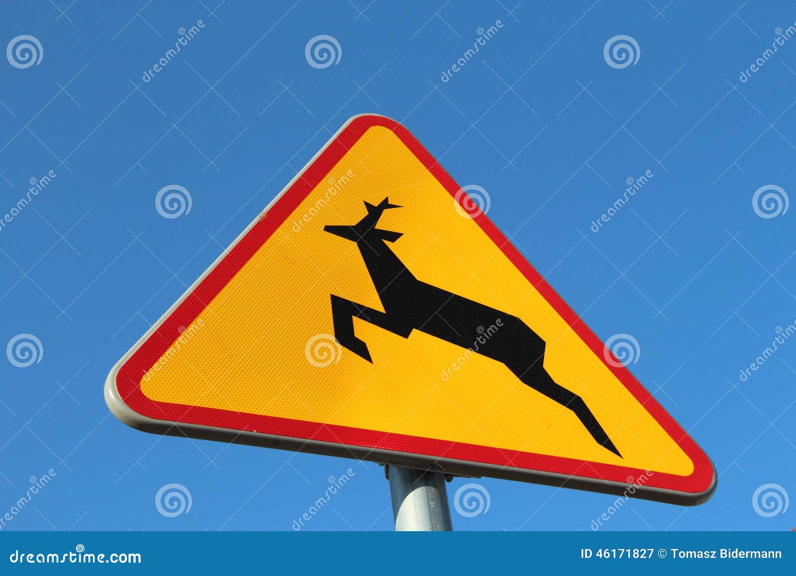 Deer sign stock image. Image of road, danger, wild, hunting - 46171827