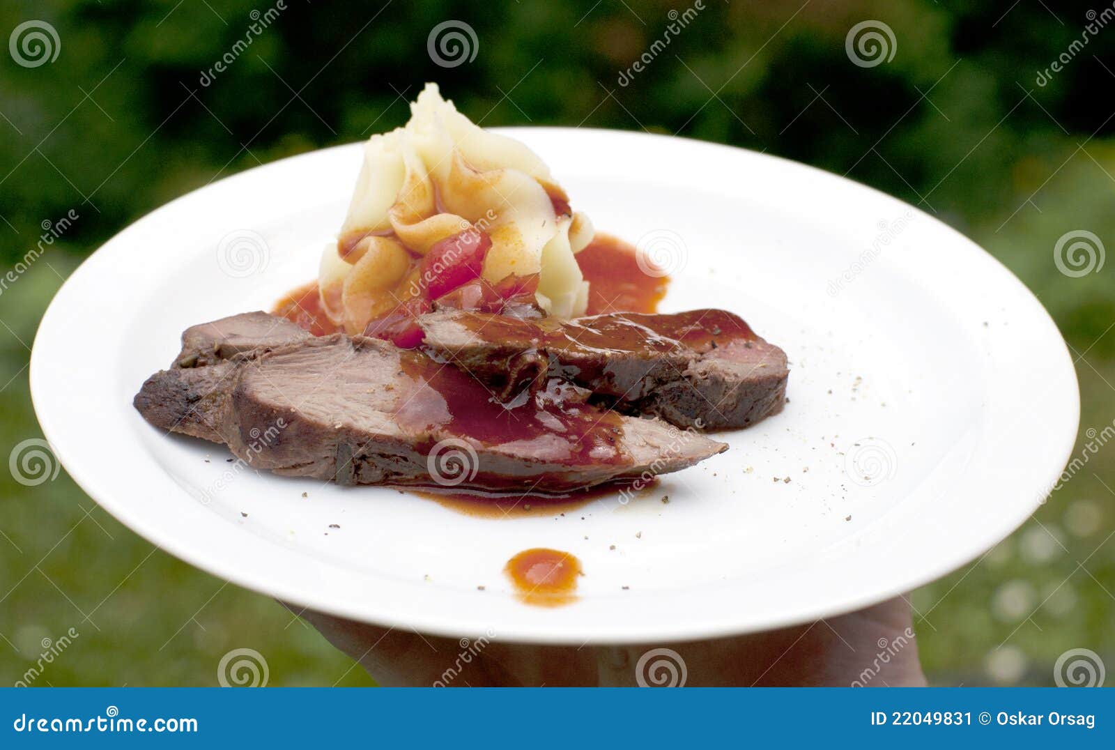 Deer Sirloin, Served with Mashed Potatoes Stock Image - Image of fillet ...