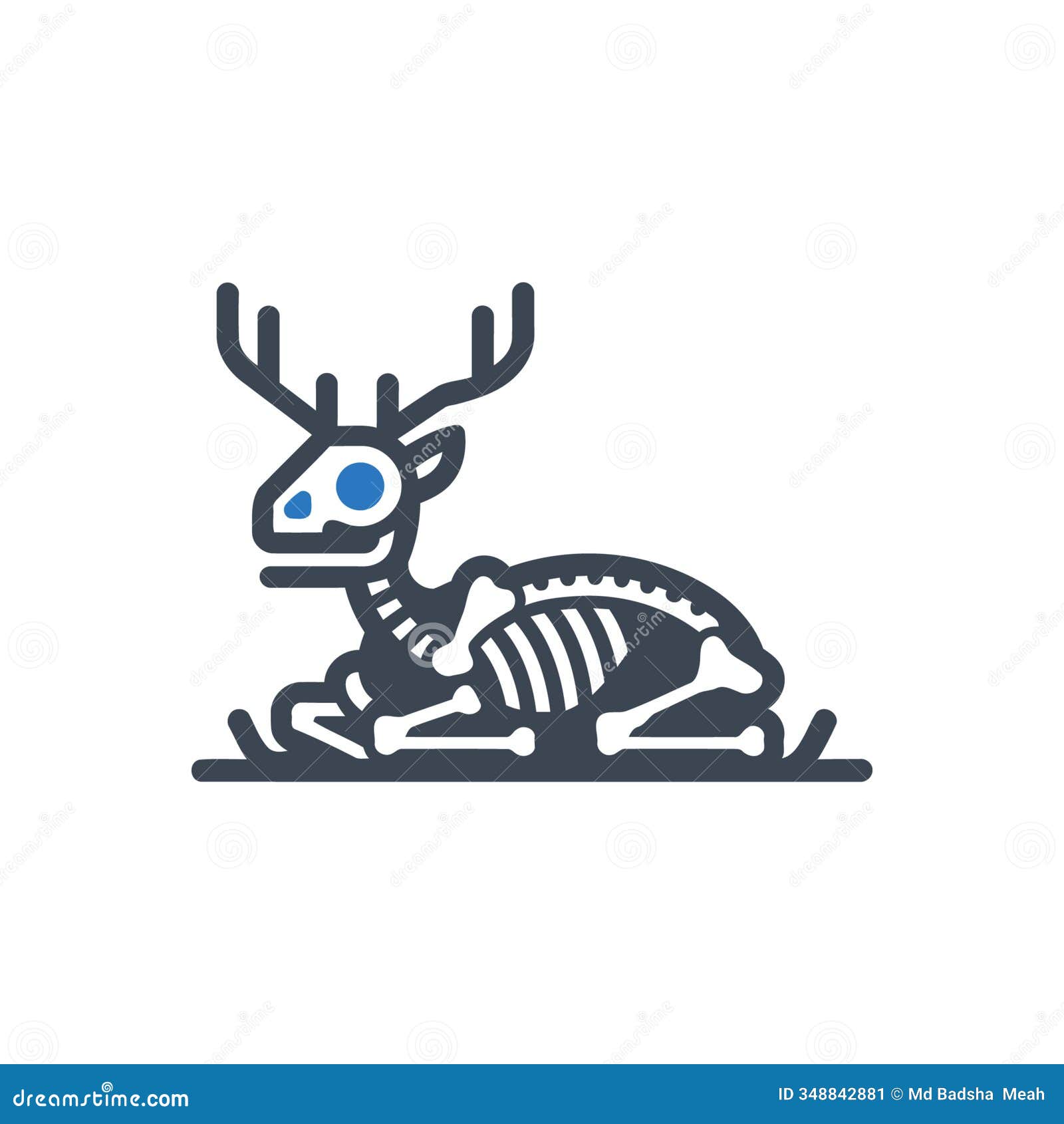 Deer Skeleton Anatomical Model Animal Anatomy Study Png Transparent ...