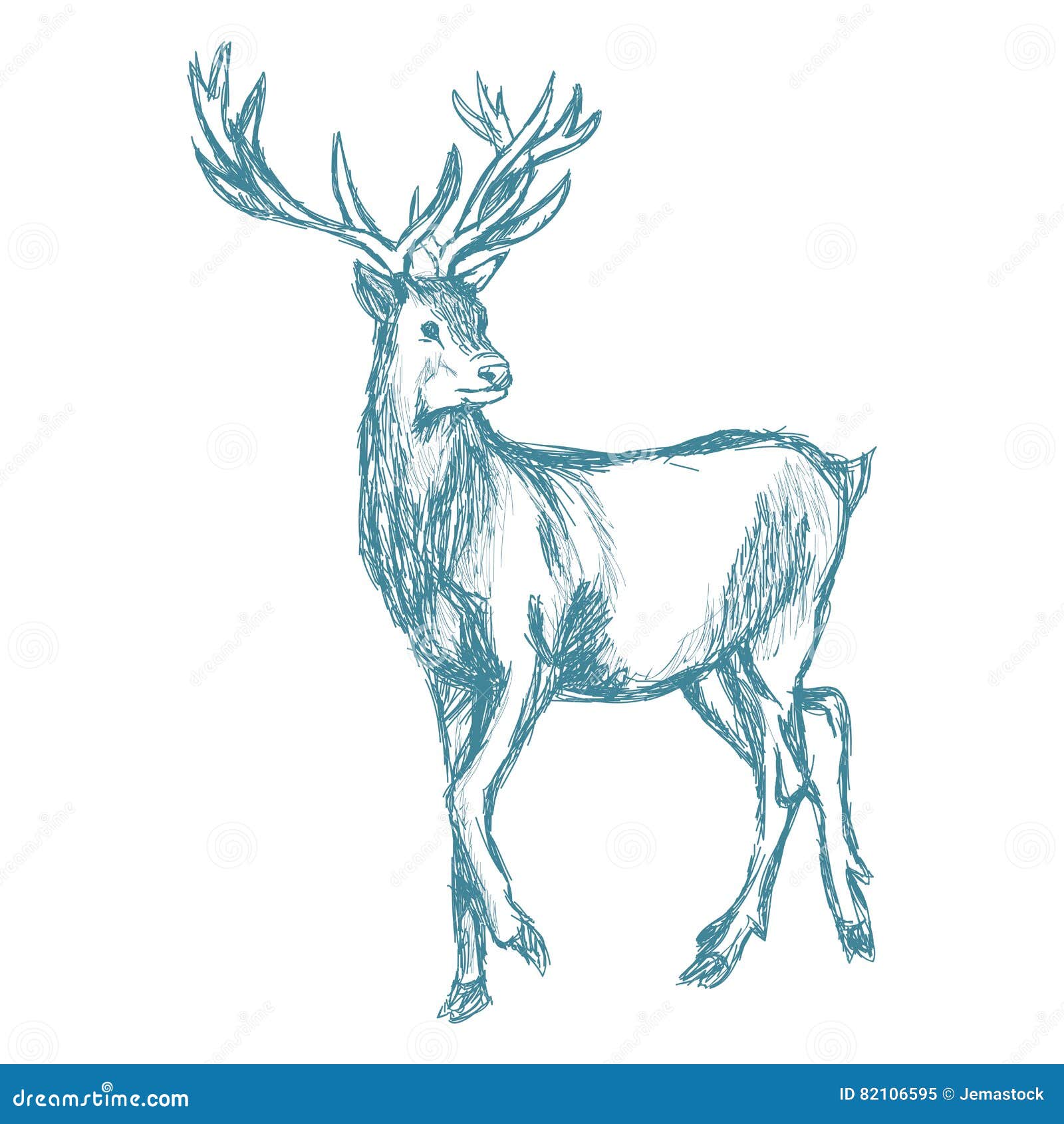 Deer Sketch