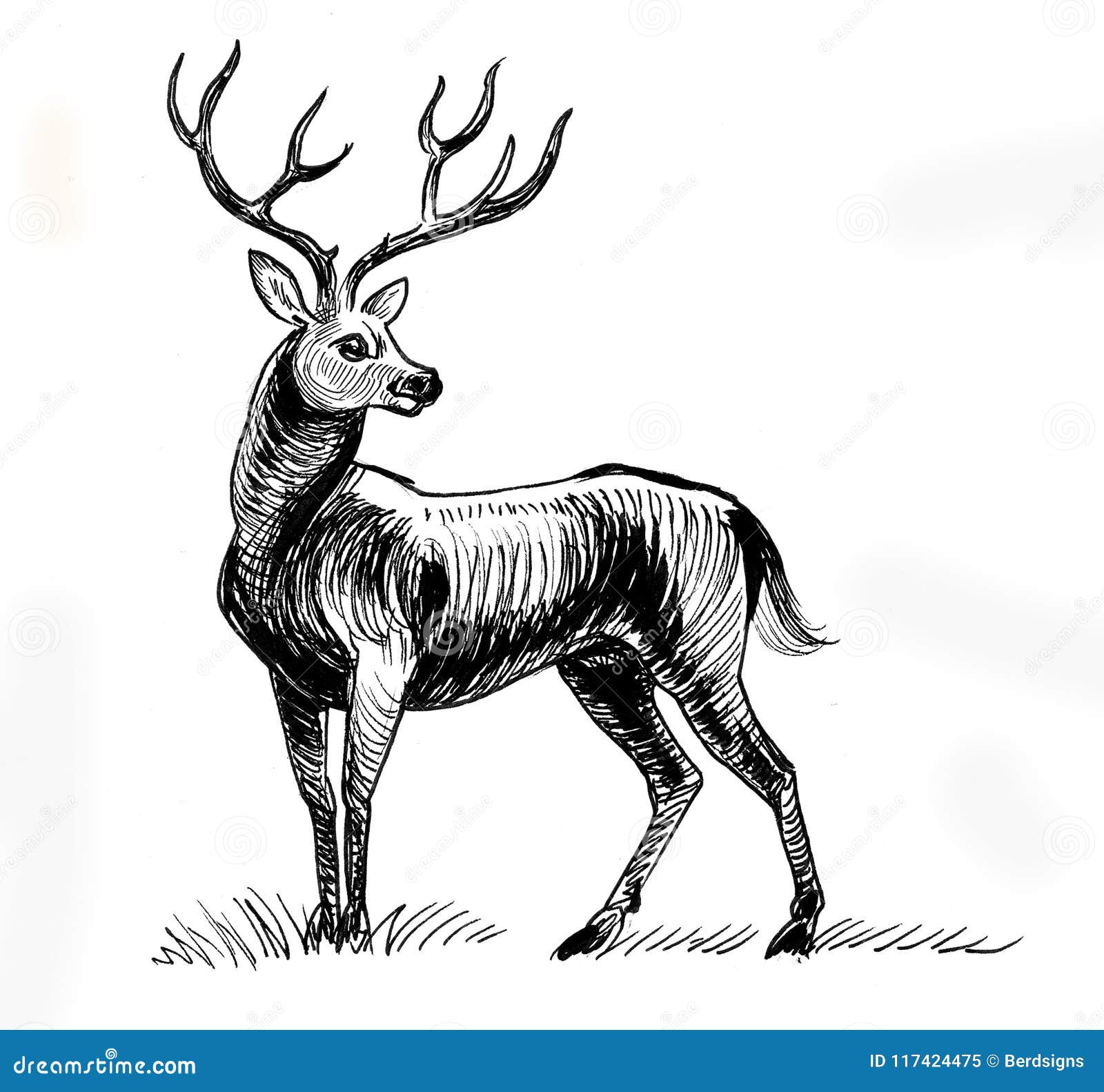 Deer sketch stock illustration. Illustration of animal - 117424475