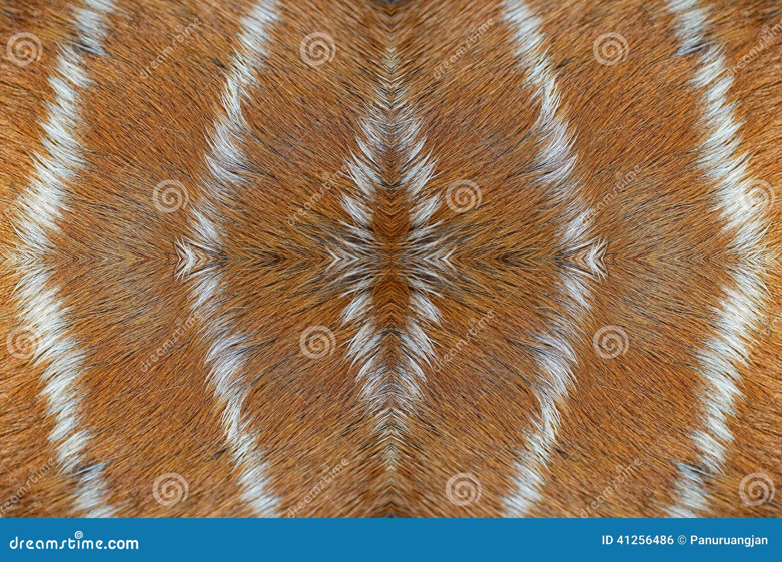 Deer skin stock photo. Image of wild, lines, texture - 41256486