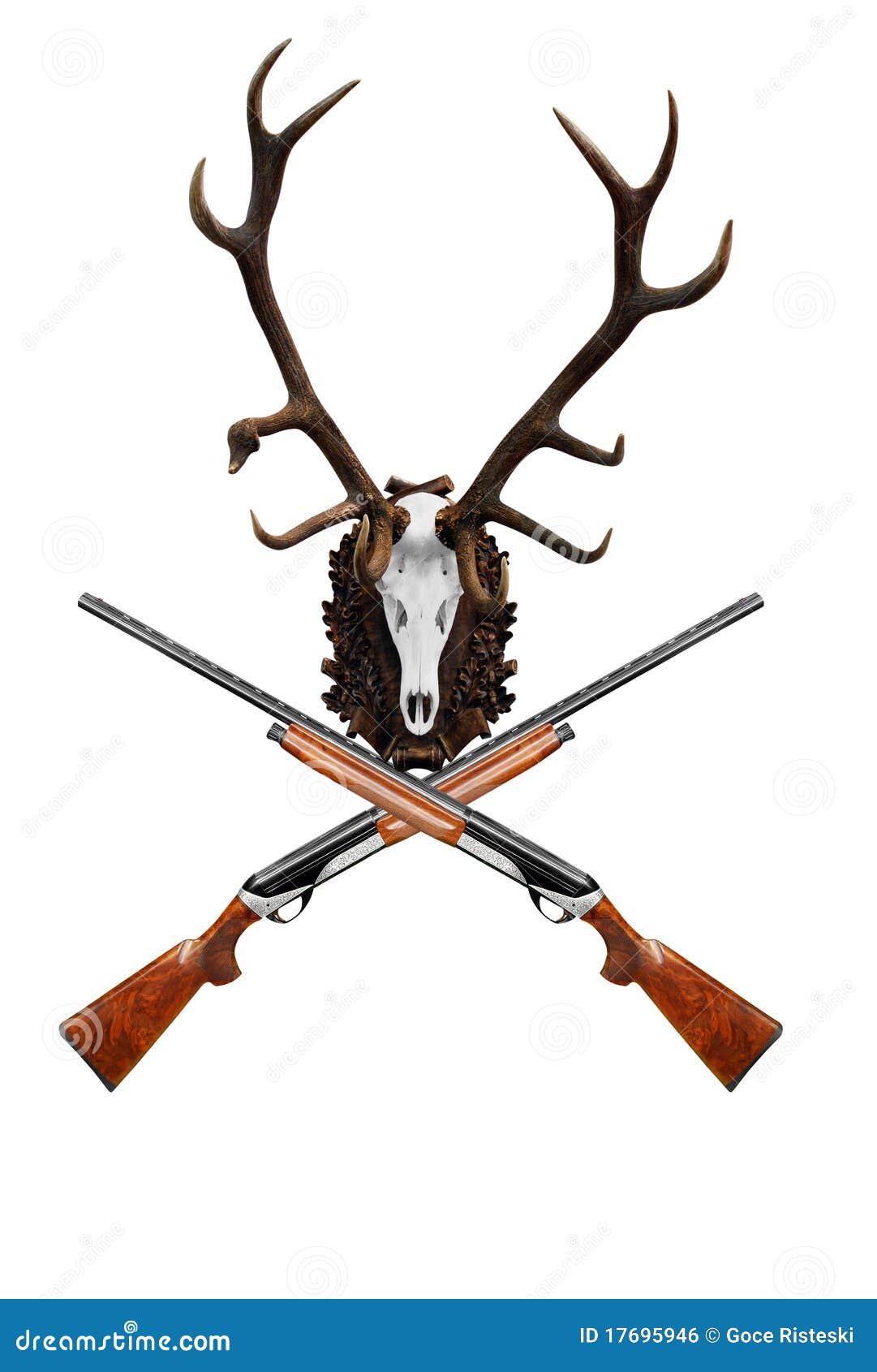 Deer Skull with Big Horn Trophy Stock Photo - Image of weapon, head ...