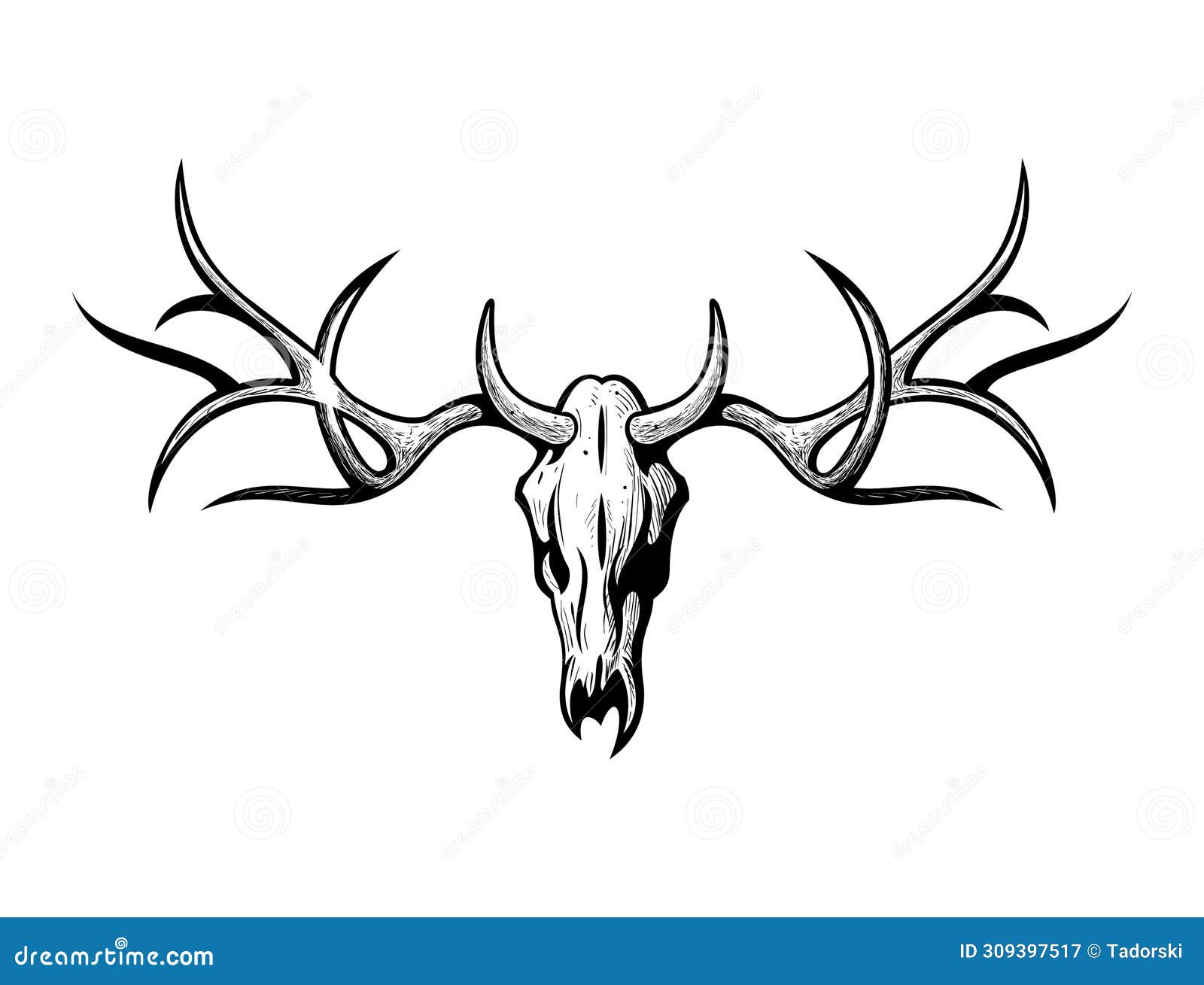 Deer Skull Realistic Vector Illustration. Stock Vector - Illustration ...