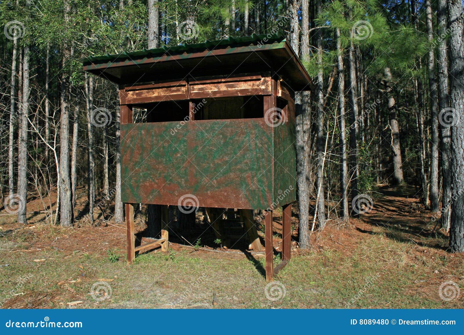Deer stand stock photo. Image of deer, stand, wood, grass - 8089480