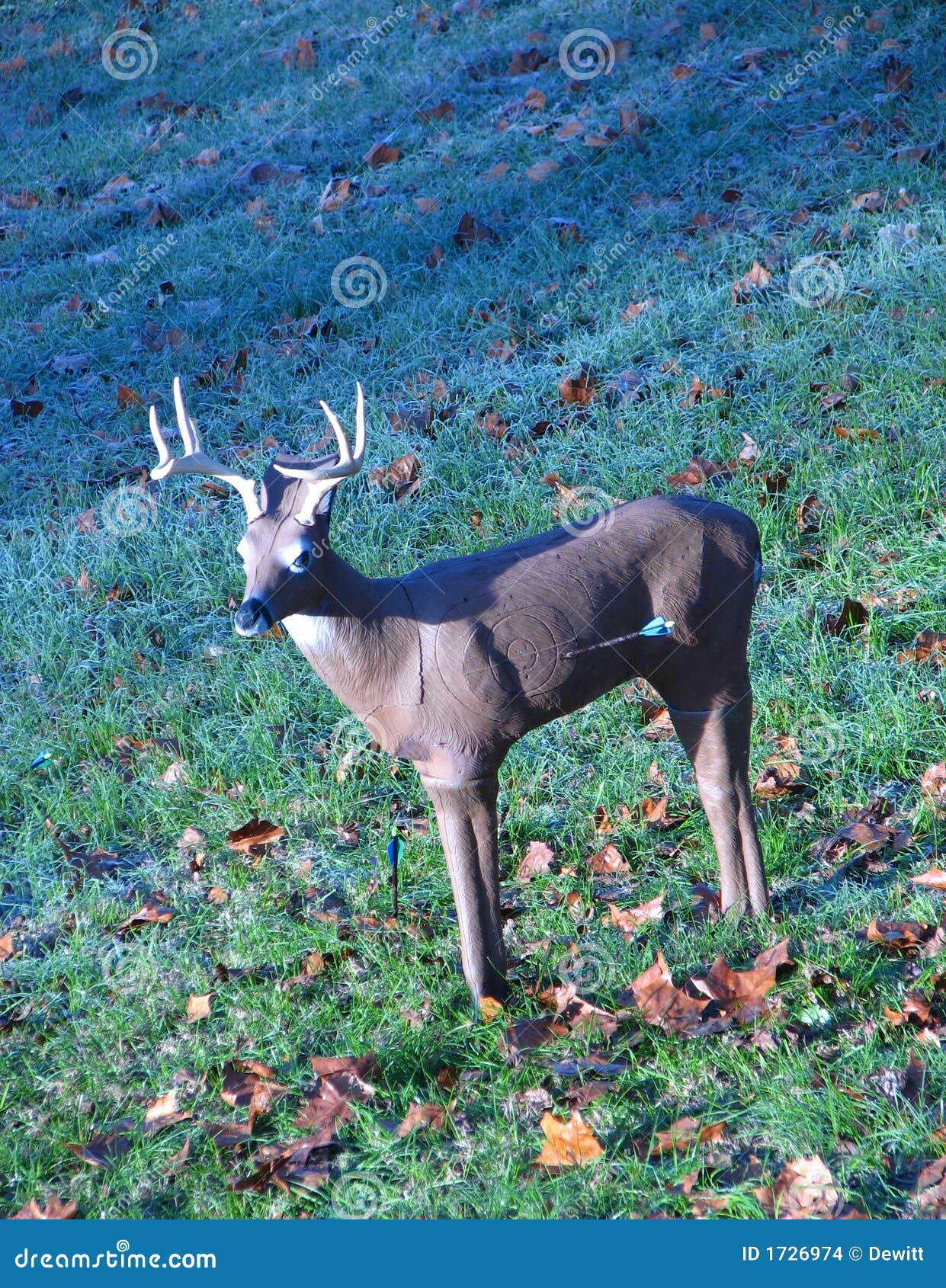 DEER TARGET stock photo. Image of arrow, deer, target - 1726974