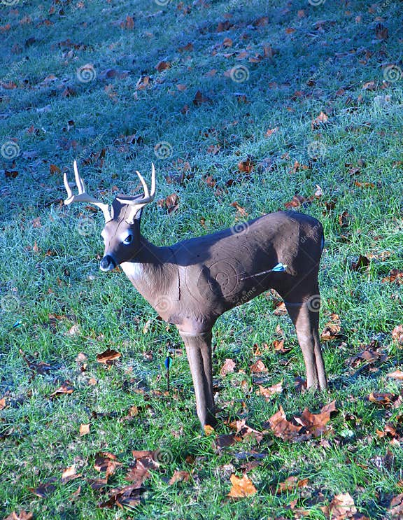 DEER TARGET stock photo. Image of arrow, deer, target - 1726974