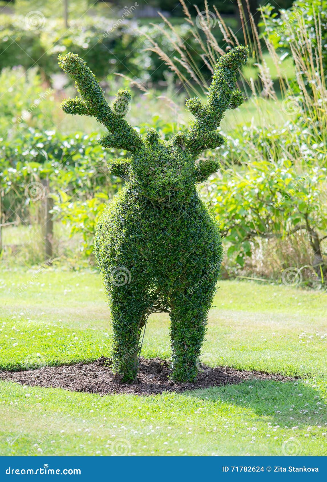 Deer topiary in garden stock photo. Image of animal, shape - 71782624