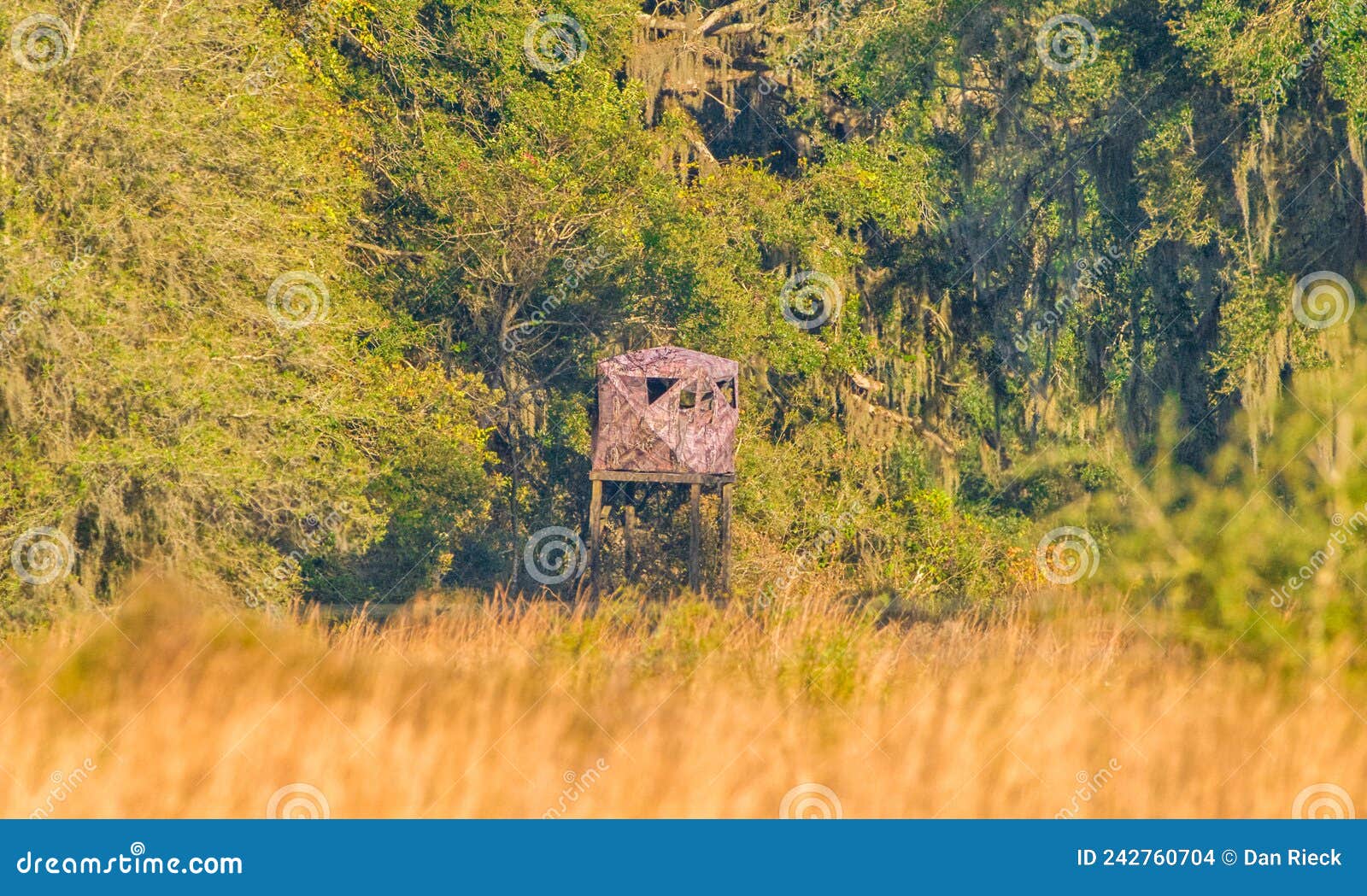 Deer Tree Stand At The Edge Of Tree Line Overlooking Meadow Grassland ...