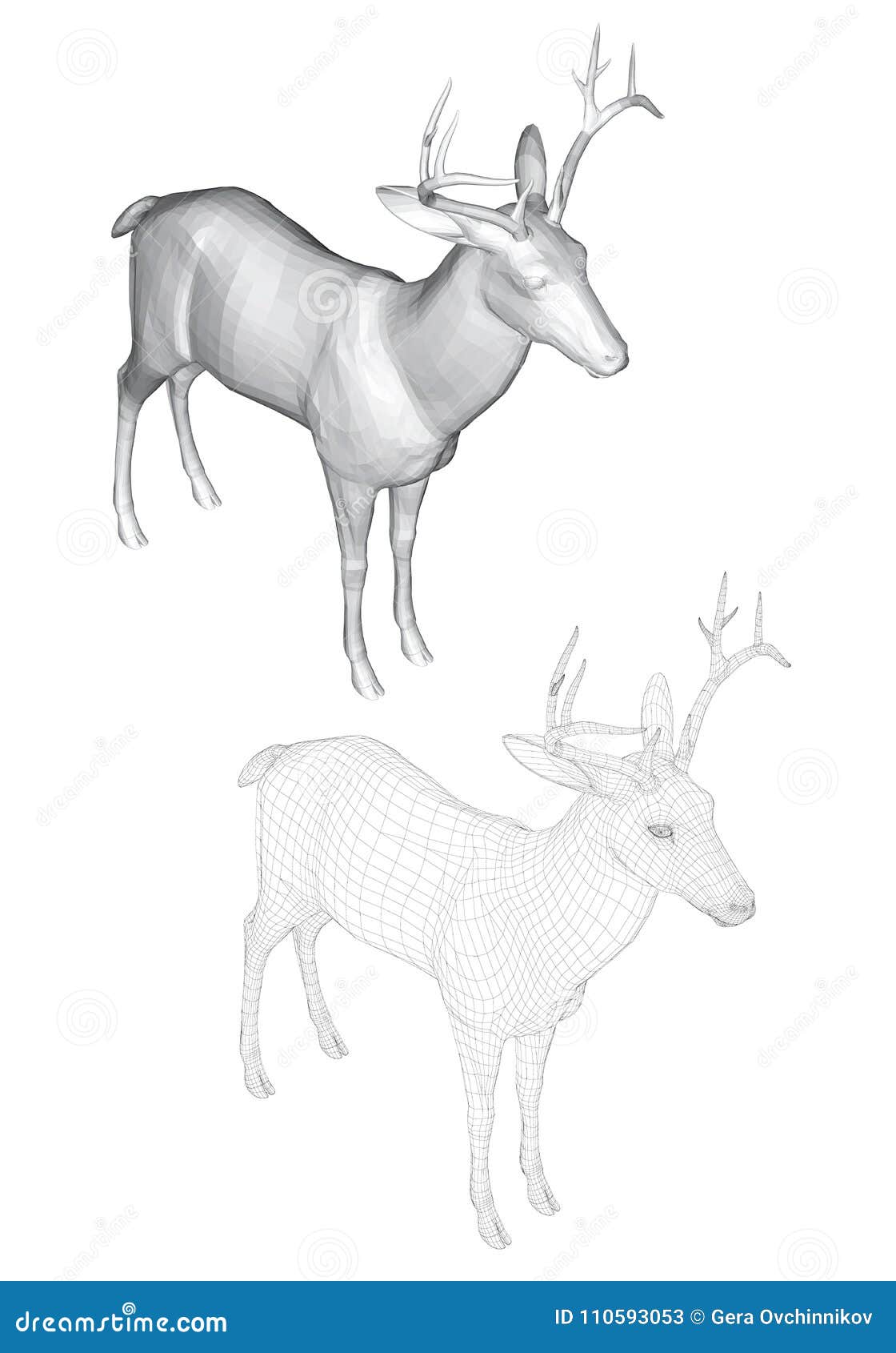 Deer stock vector. Illustration of cute, cartoon, capreolus - 110593053