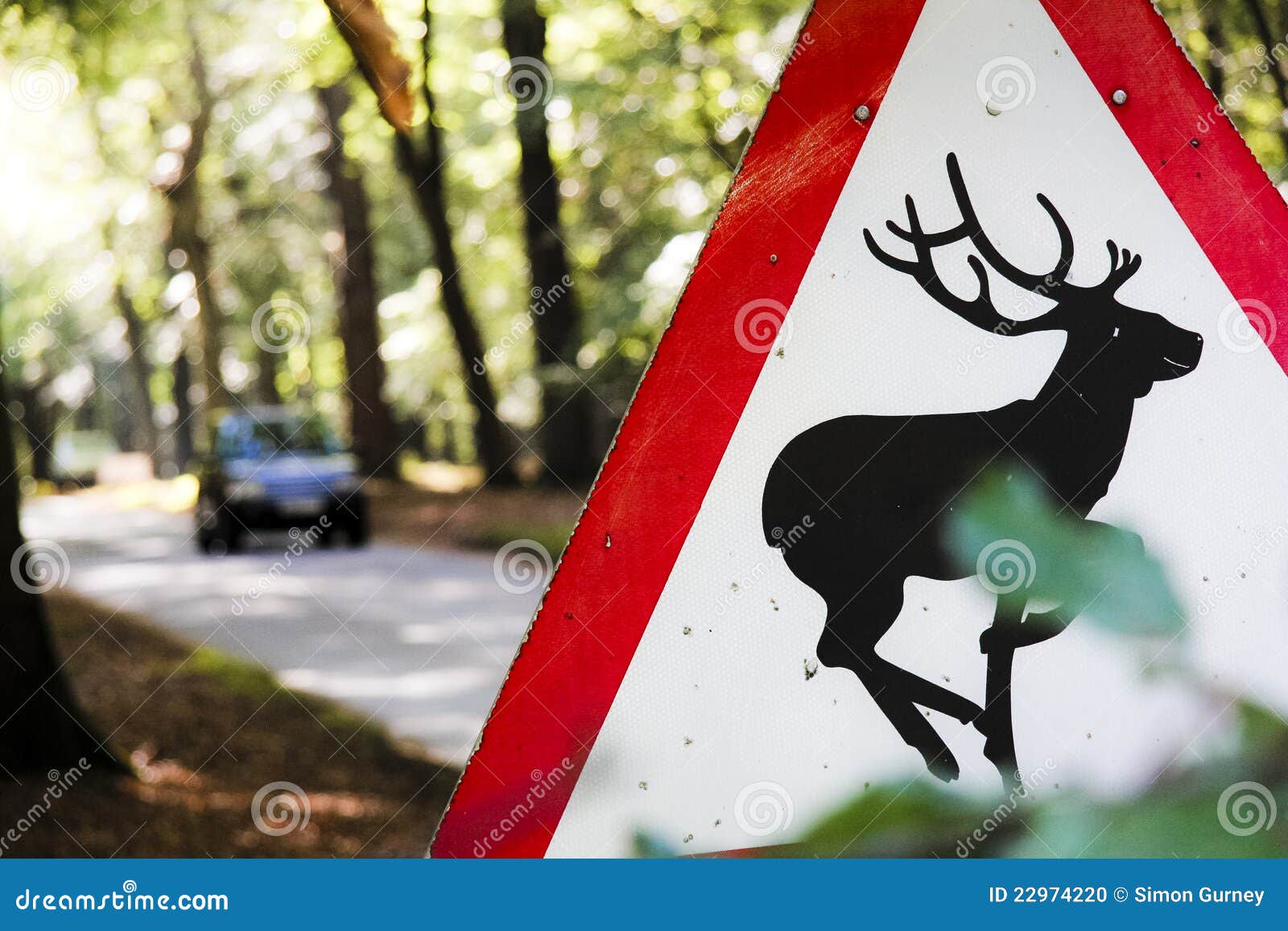 Deer Warning Road Sign Countryside Uk Stock Photo - Image of forest ...