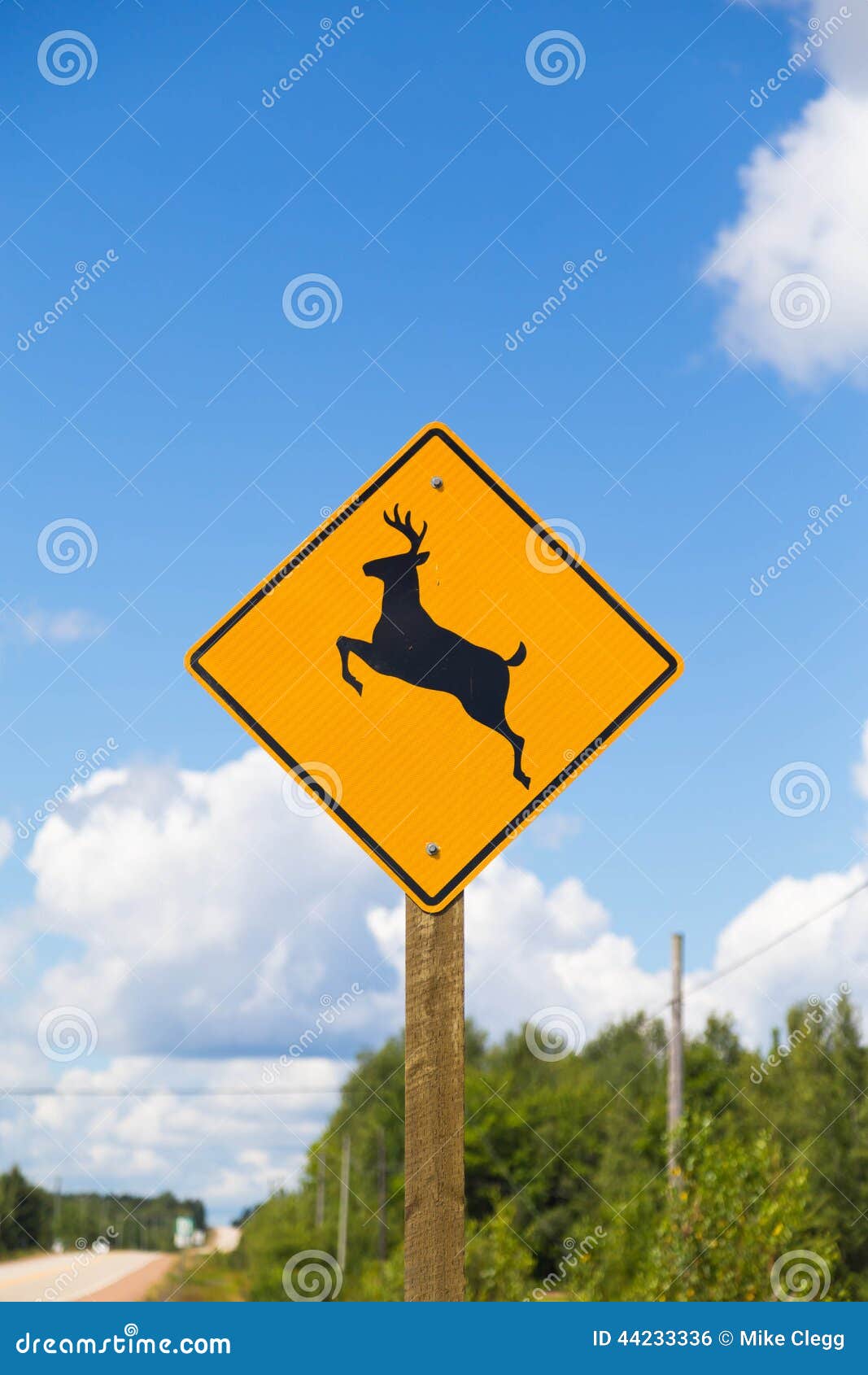 Deer Warning Sign On Country Road. Wild Animals Warning Road Sign. Deer ...
