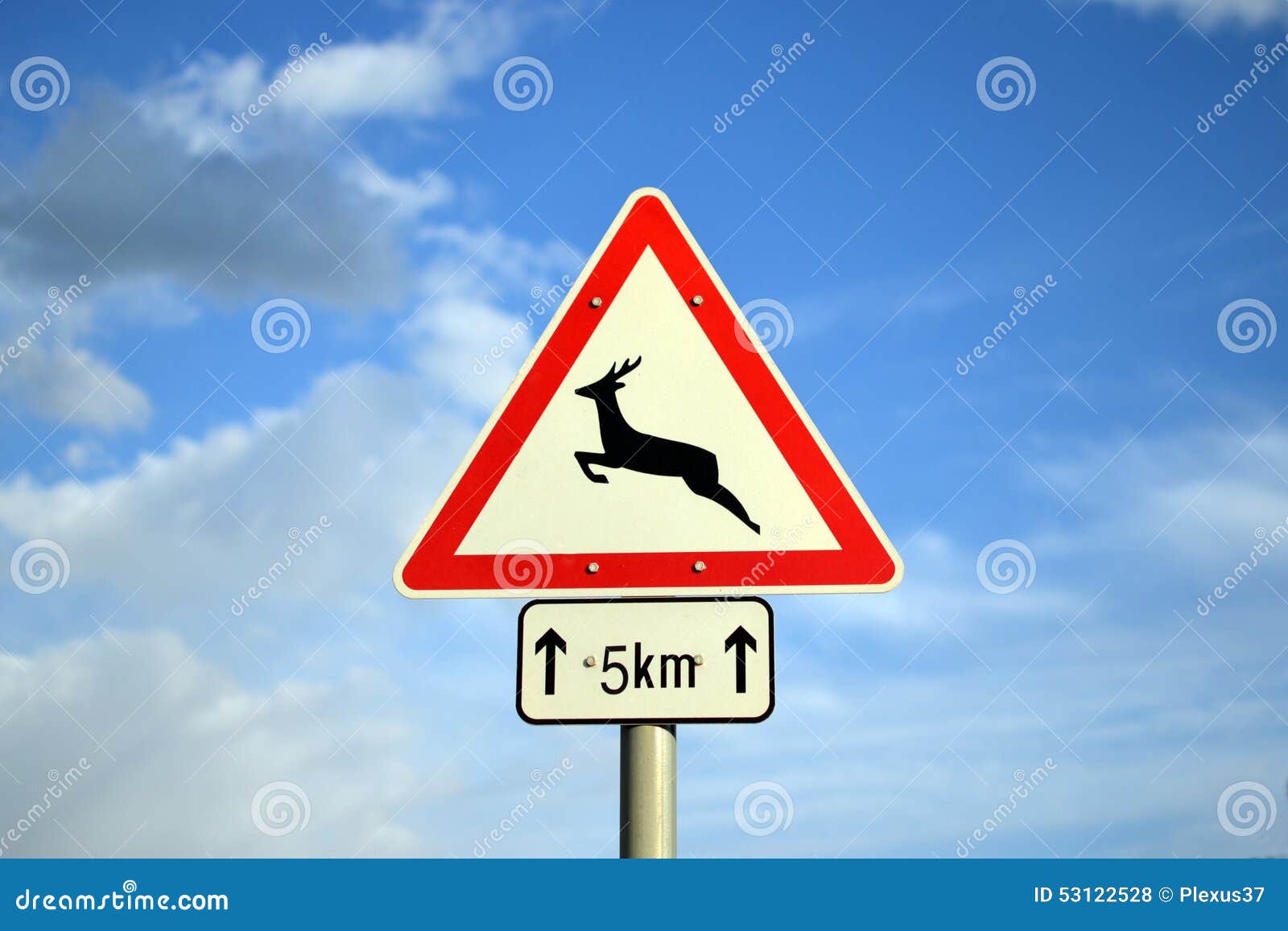 Deer Warning Sign Royalty-Free Stock Photography | CartoonDealer.com ...