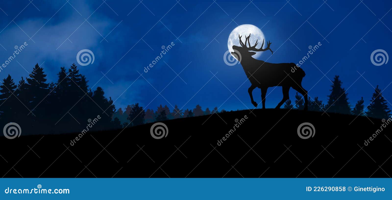 Deer in the Woods with Full Moon Stock Photo - Image of landscape, wood ...
