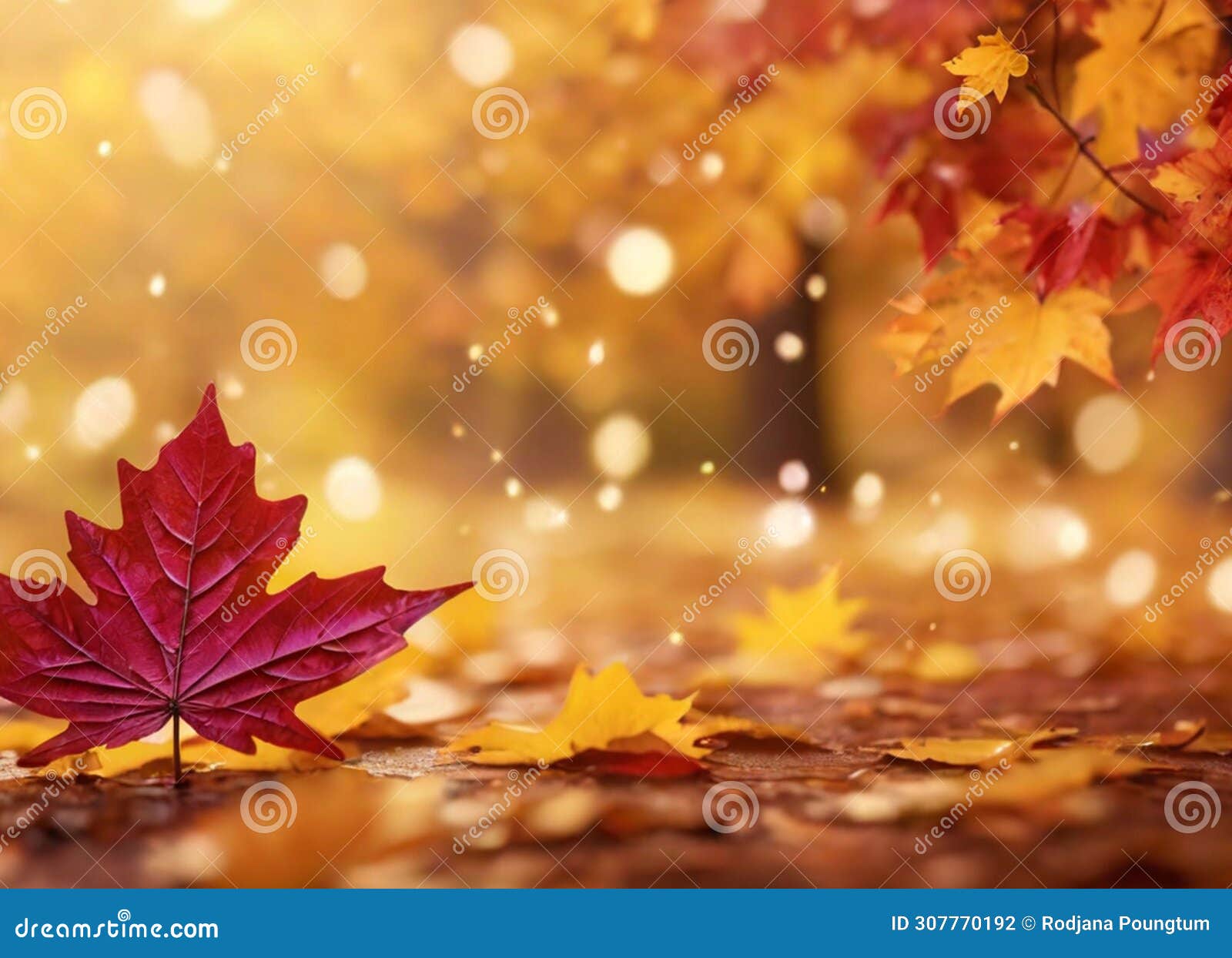 Default 8k Falling Maple Leaf Background Stock Illustration - Illustration of bokeh, background ...